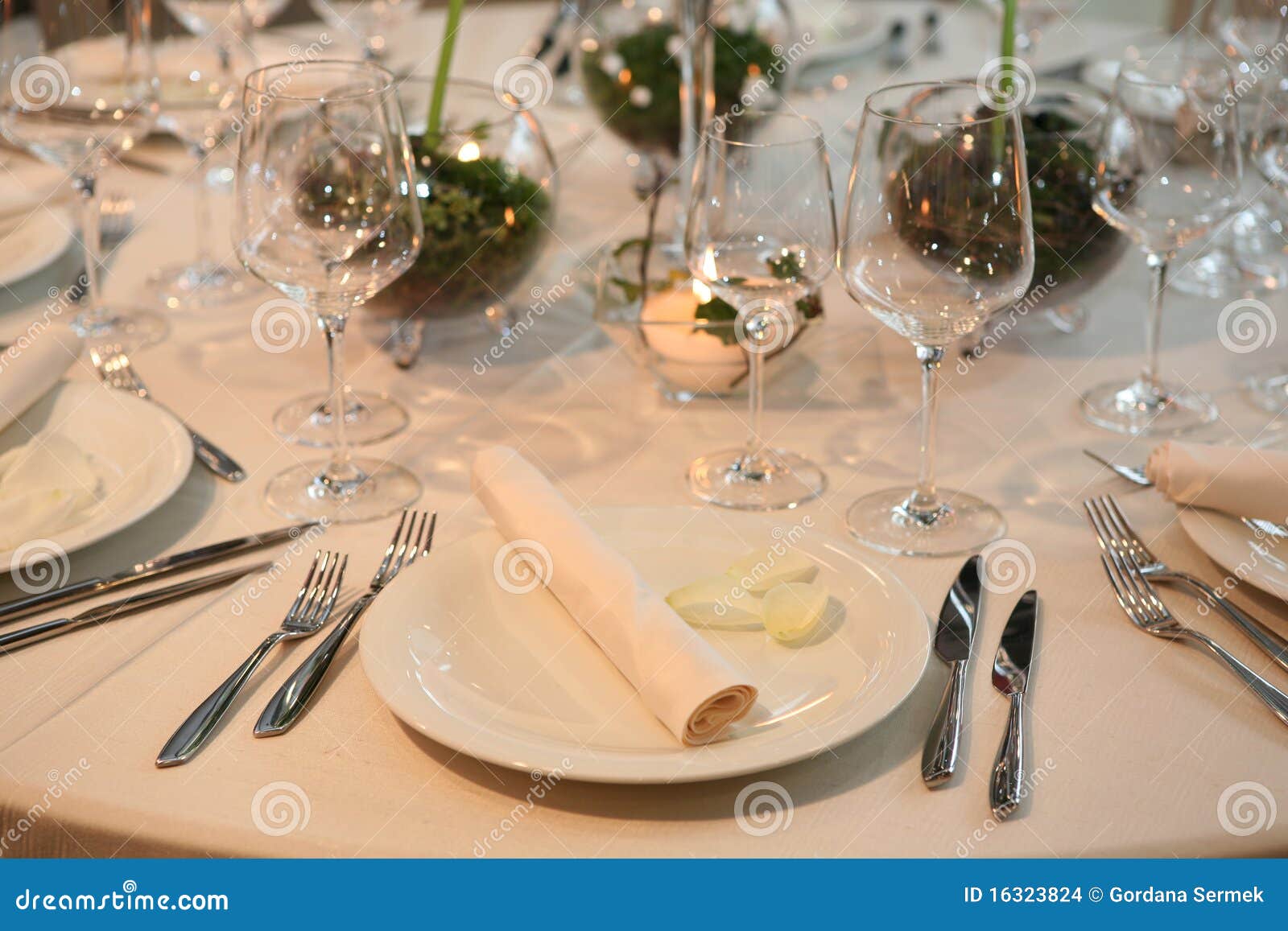 Wedding dinner stock photo. Image of elegant, plate, fine - 16323824