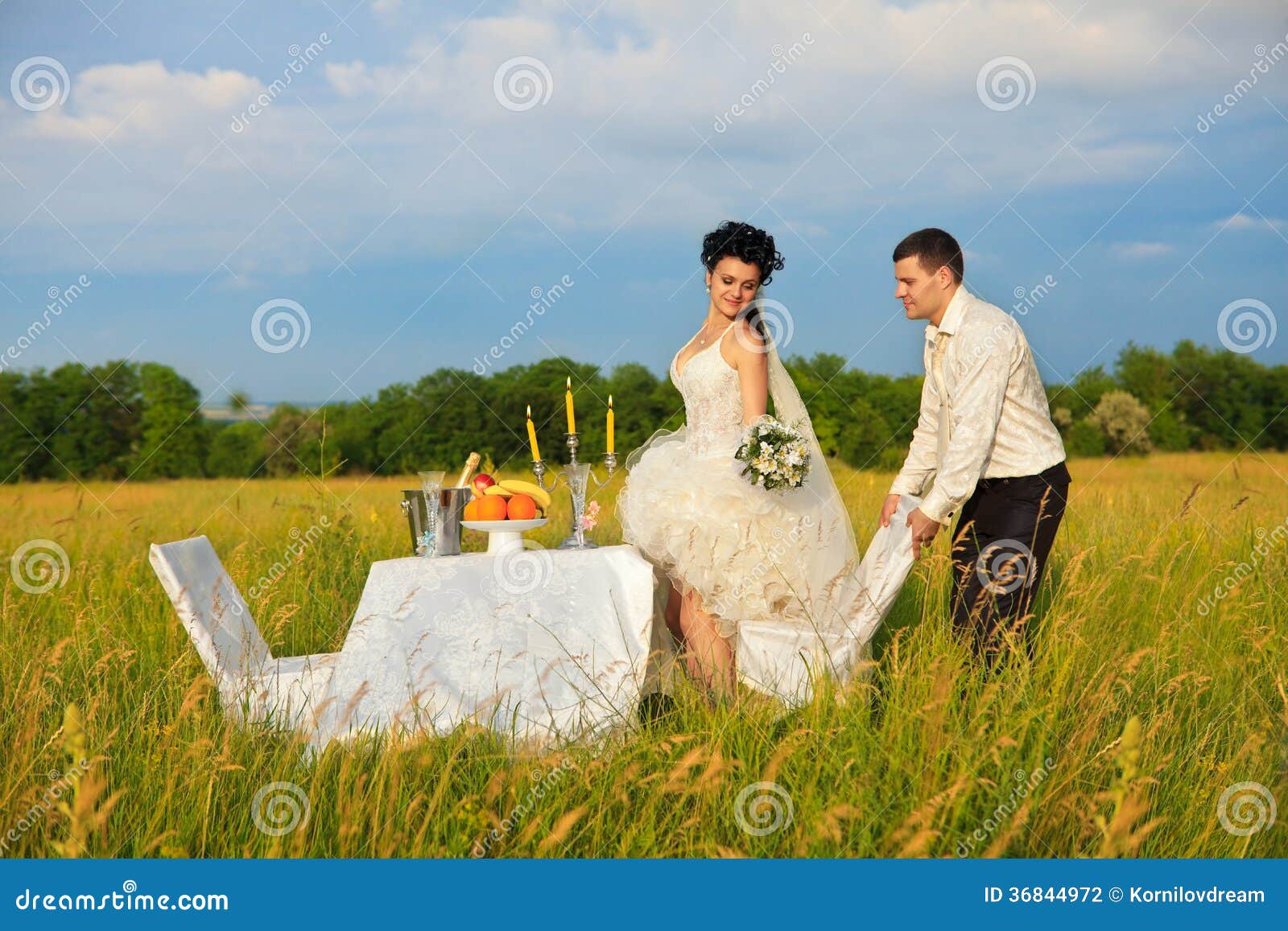 Wedding Dinner on the Field Stock Photo - Image of cloth, couple: 36844972