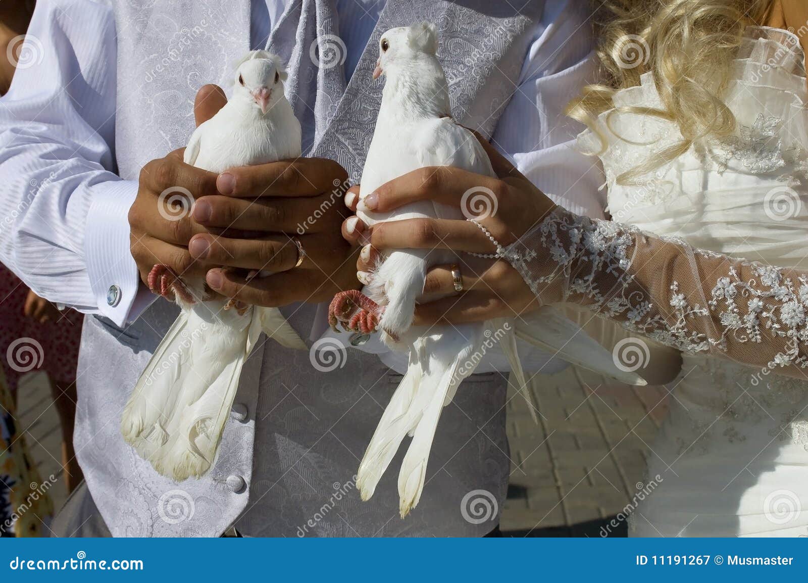 Wedding doves stock image. Image of wedding, manicure - 11191267