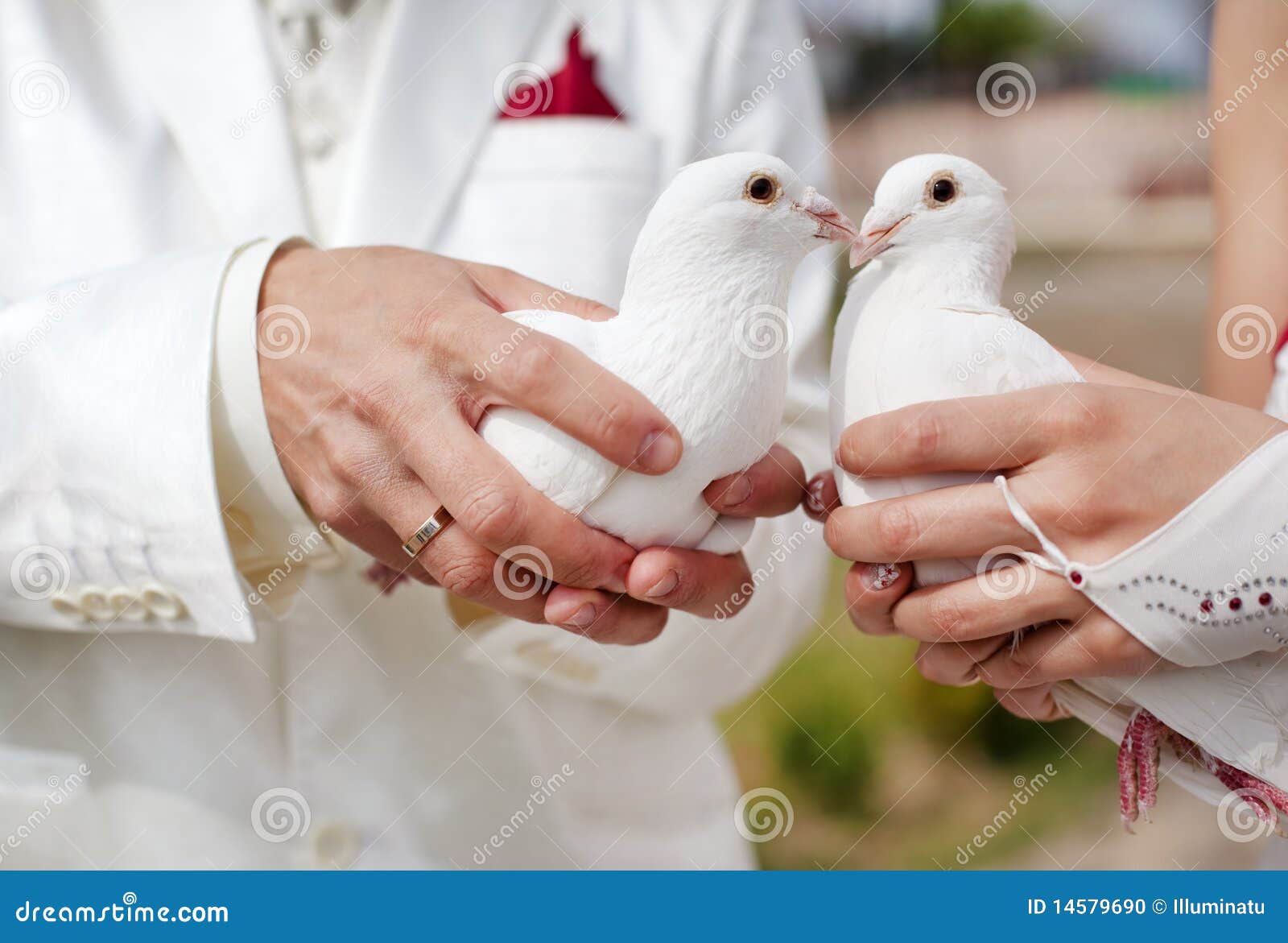 Wedding doves stock photo. Image of dove, hand, holiday - 14579690