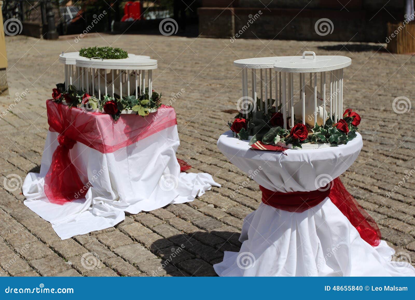 Wedding doves stock photo. Image of care, bridal, marriage - 48655840