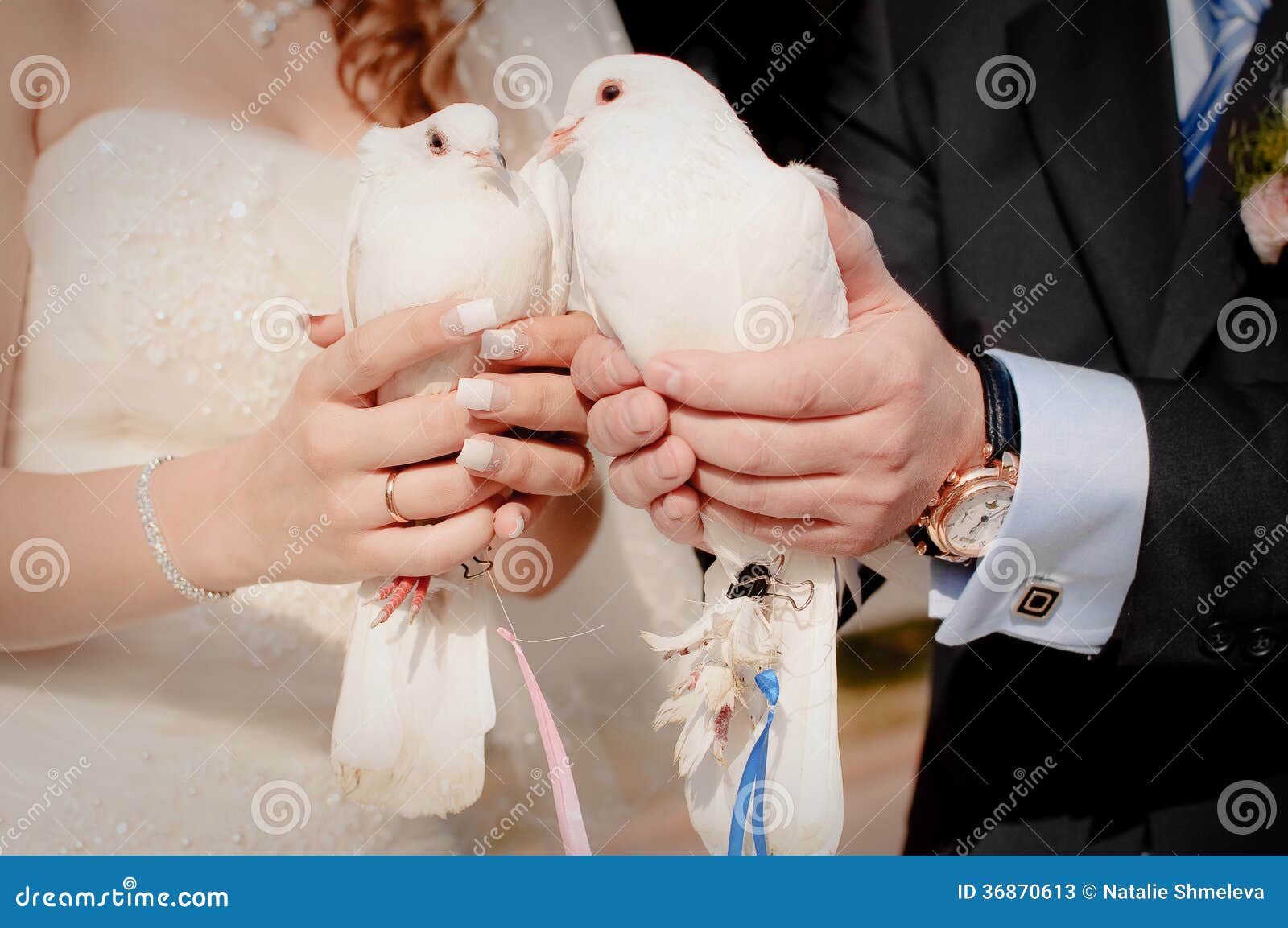 Wedding doves stock image. Image of elegance, outdoors - 36870613