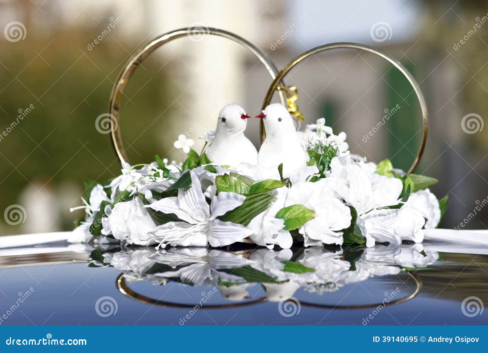 Wedding doves stock image. Image of idyllic, bird, harmony - 39140695
