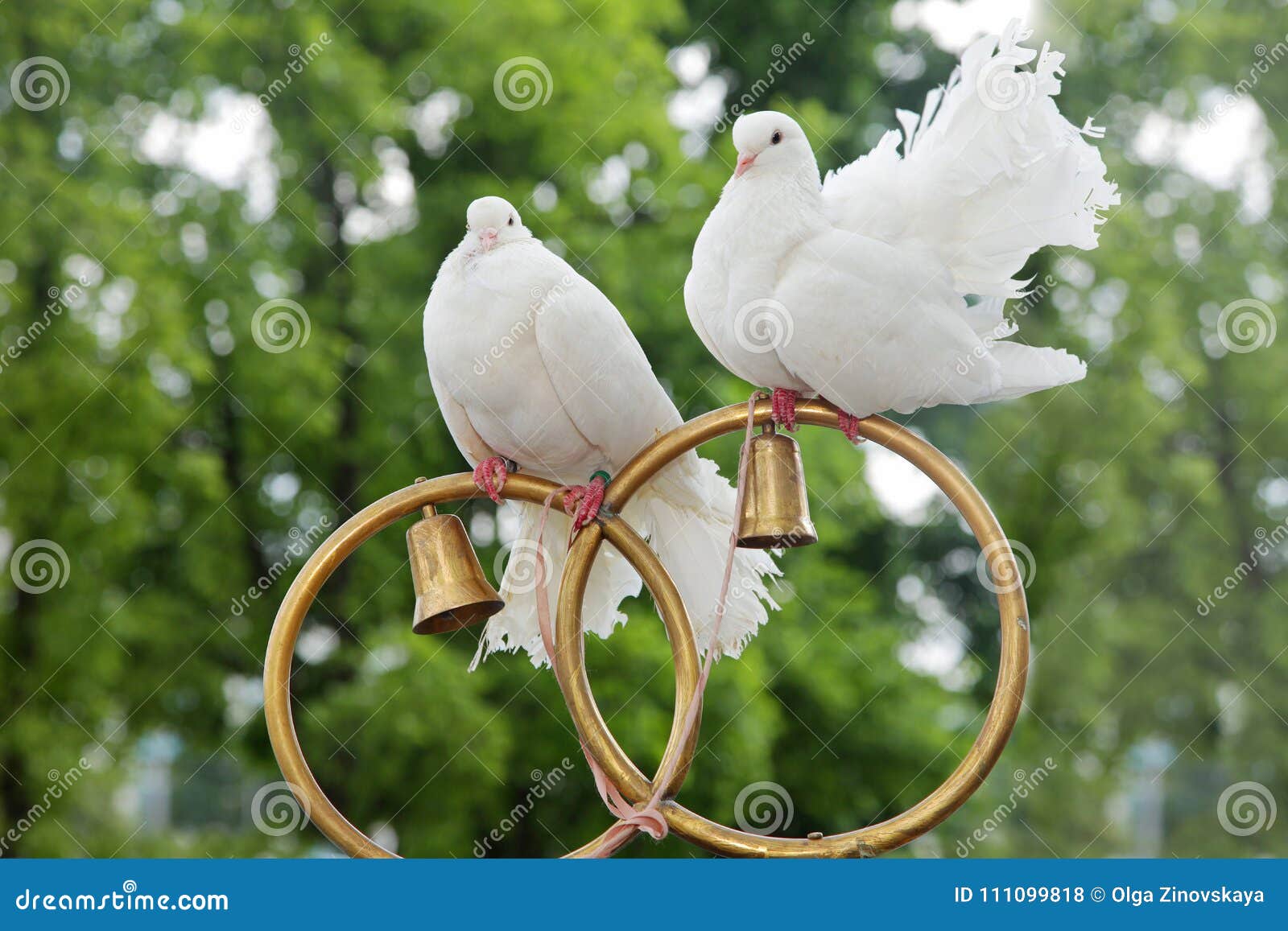 Wedding Doves Gold