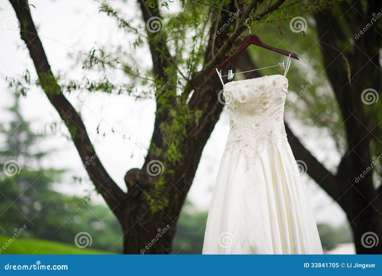 Wedding dress stock image. Image of sunshine, outdoors - 33841705