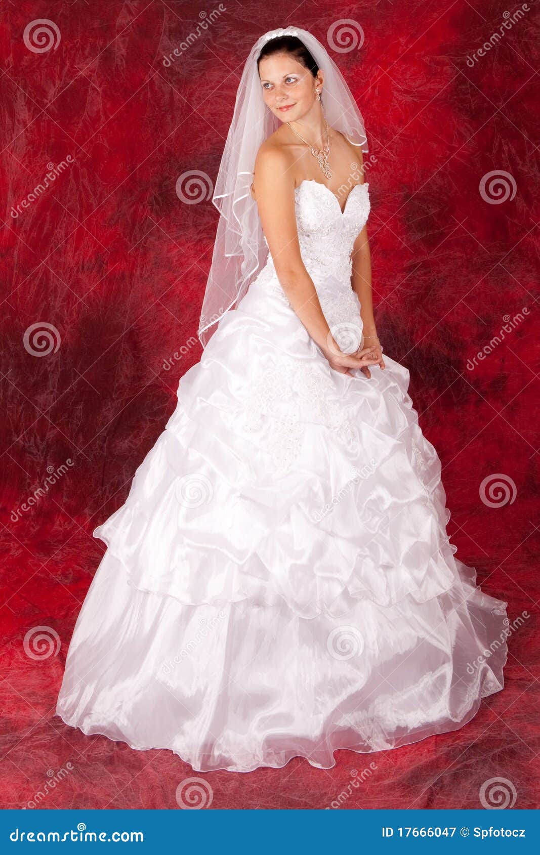 Wedding Dress on Fashion Model Stock Image - Image of face, clothing ...