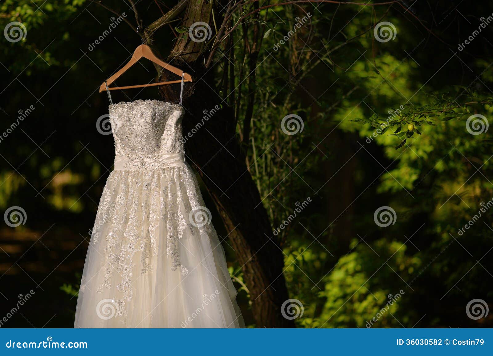 Wedding dress stock photo. Image of sale, bride, wear - 36030582
