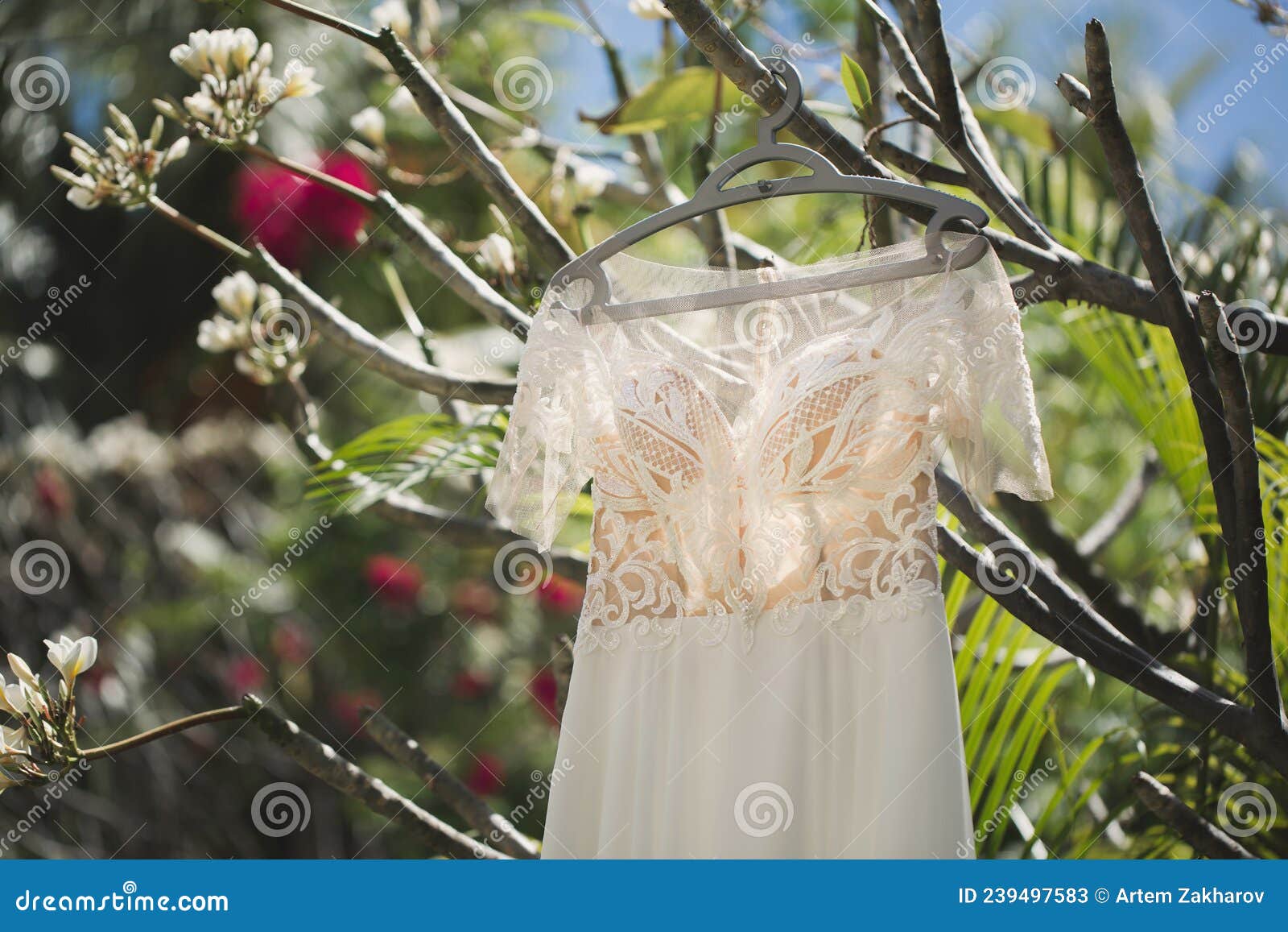 The Wedding Dress is Hanging on a Flowering Tree Stock Image - Image of ...