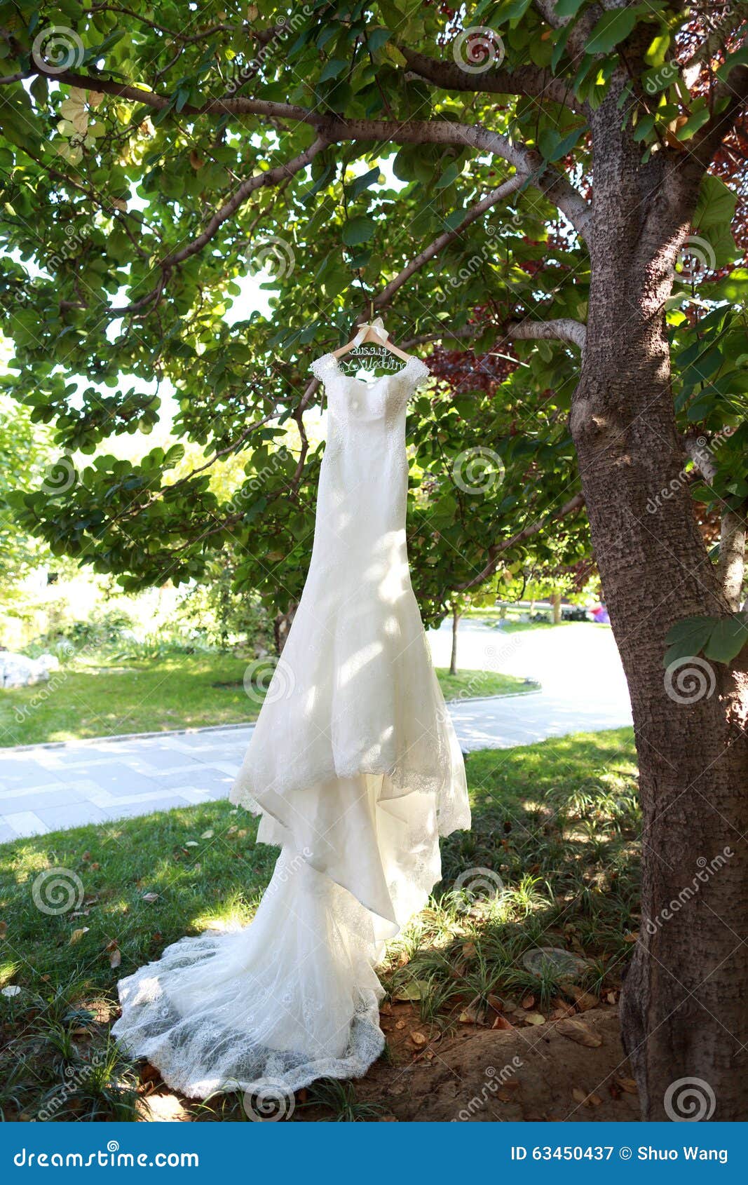 Wedding dress stock image. Image of fashion, gown, clothes - 63450437