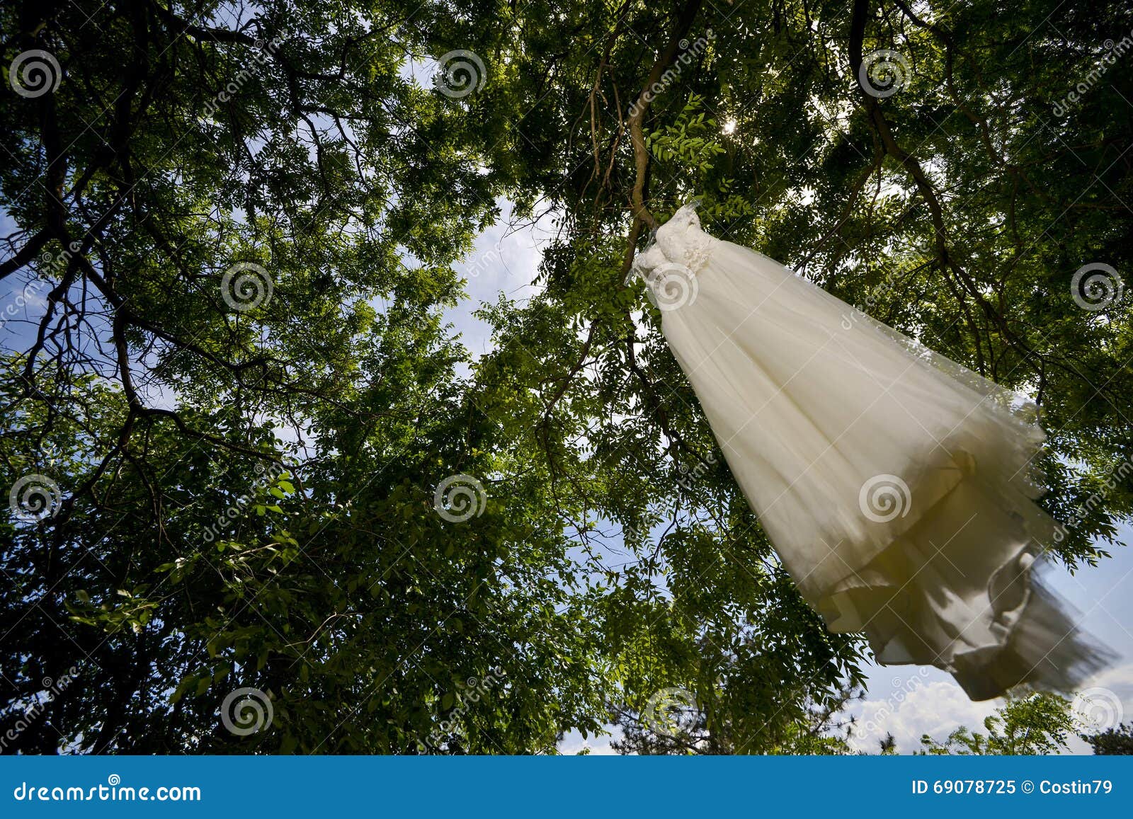 Wedding dress stock image. Image of gown, natural, background - 69078725
