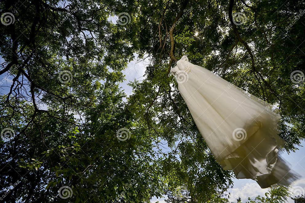 Wedding dress stock image. Image of gown, natural, background - 69078725