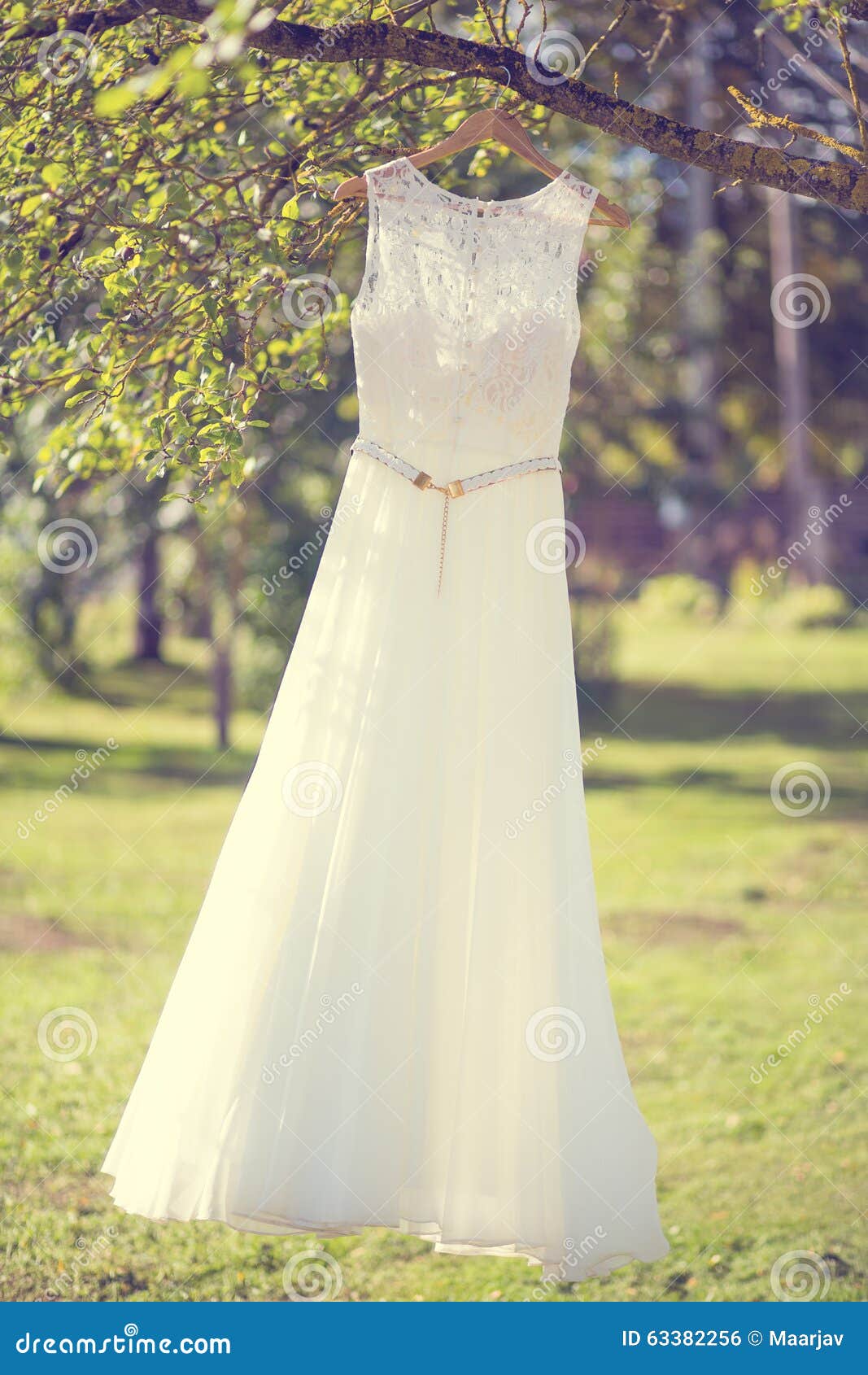 A Wedding Dress Hanging on a Tree Stock Photo - Image of transparent ...