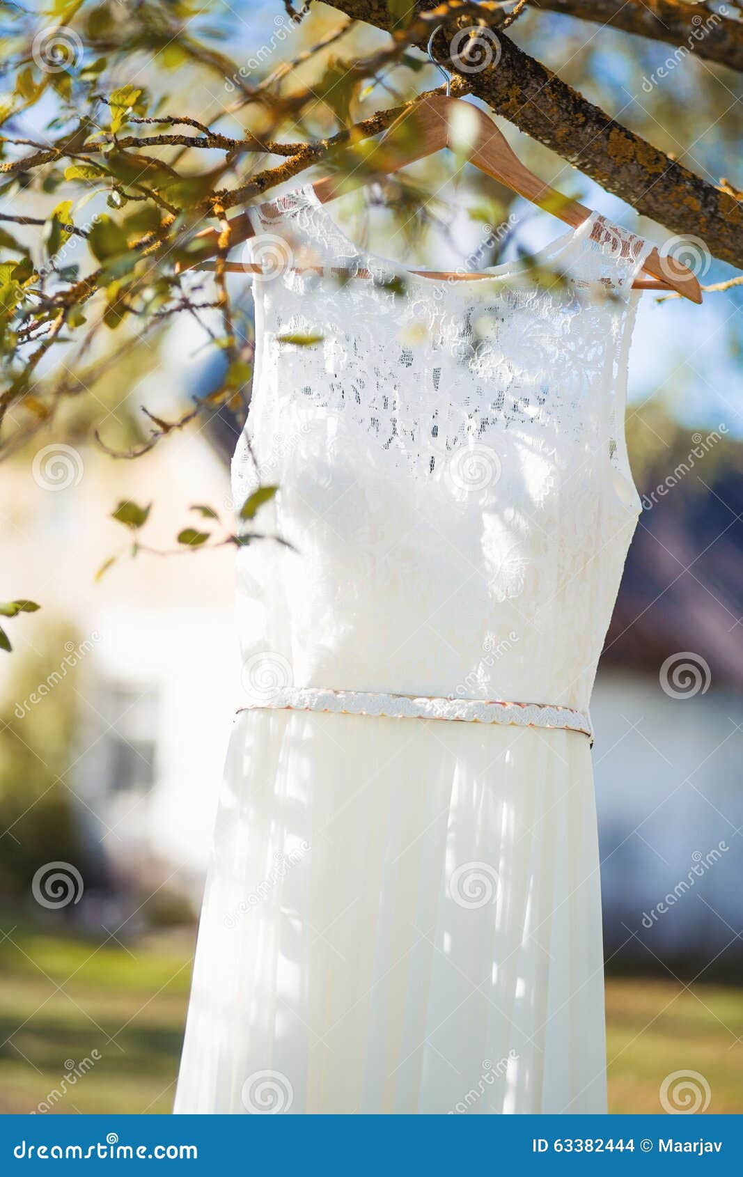 A Wedding Dress Hanging on a Tree Stock Photo - Image of occasion, lace ...