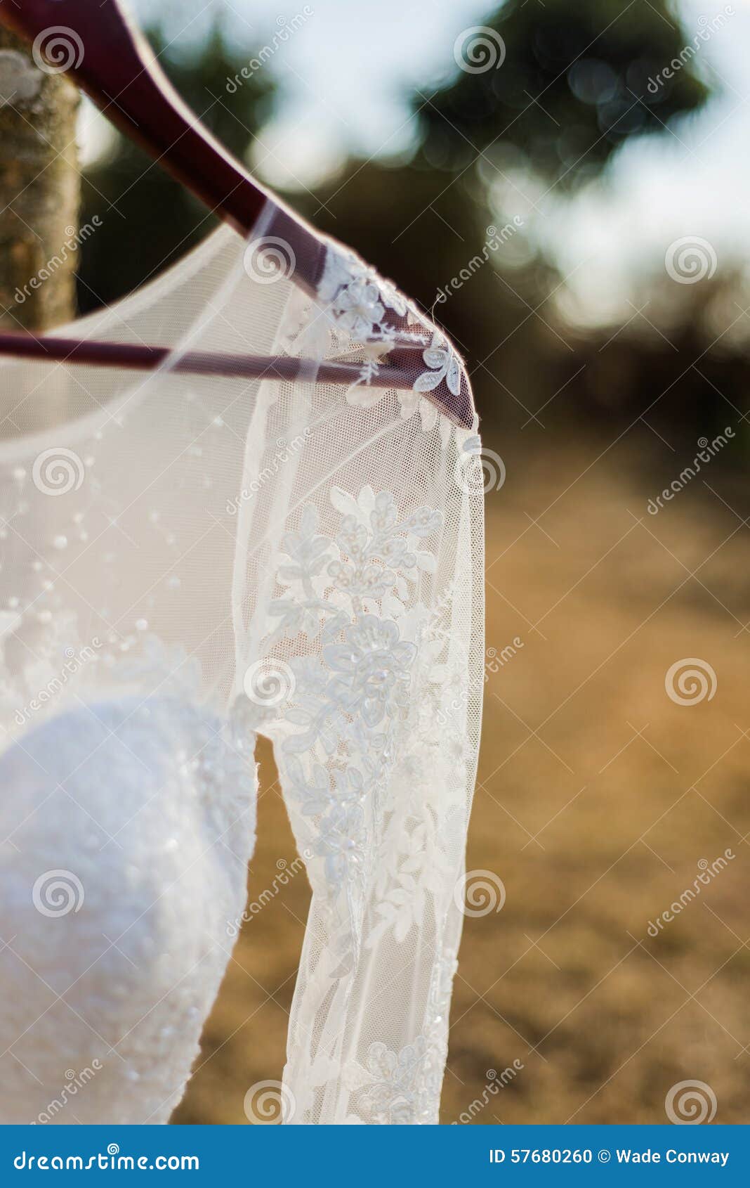 Wedding dress on a tree stock photo. Image of angle, wedding - 57680260