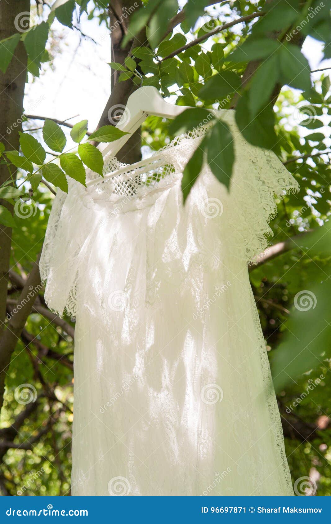 Wedding Dress on the Tree in Summer Forest. Stock Image - Image of ...
