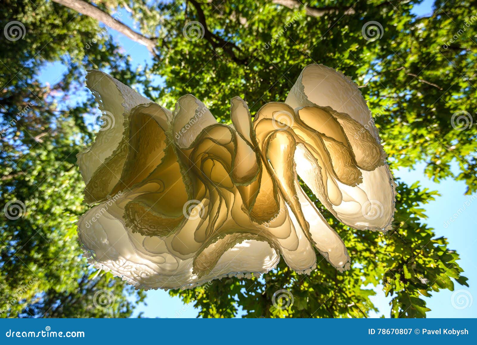 Wedding dress on a tree stock image. Image of luxury - 78670807