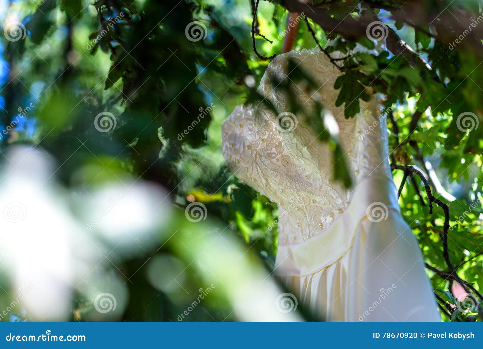 Wedding dress on a tree stock photo. Image of luxury - 78670920