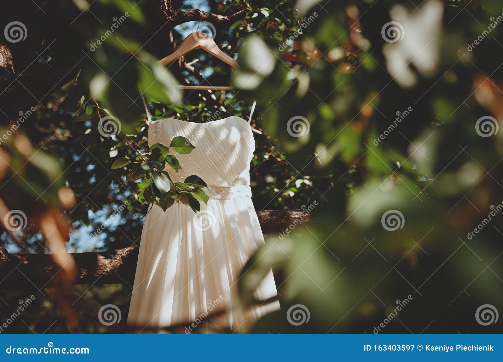 Wedding dress on a tree stock image. Image of bouqet - 163403597