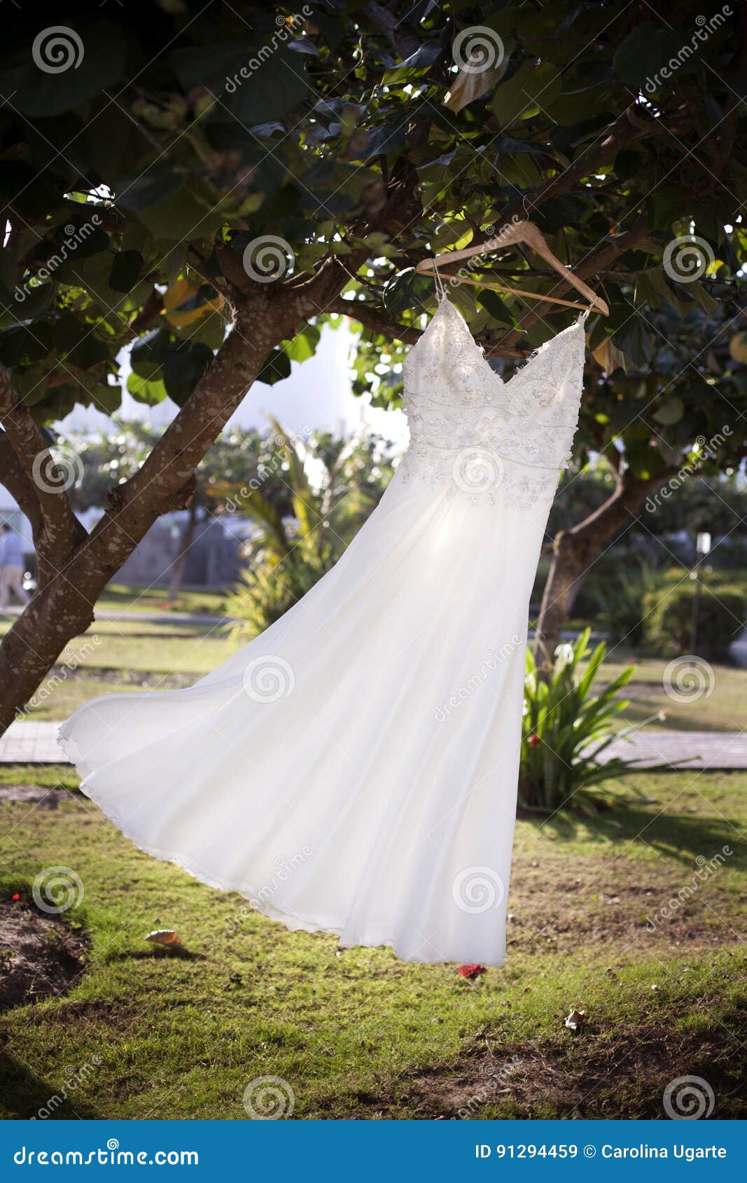 Wedding dress stock image. Image of spring, grass, green - 91294459