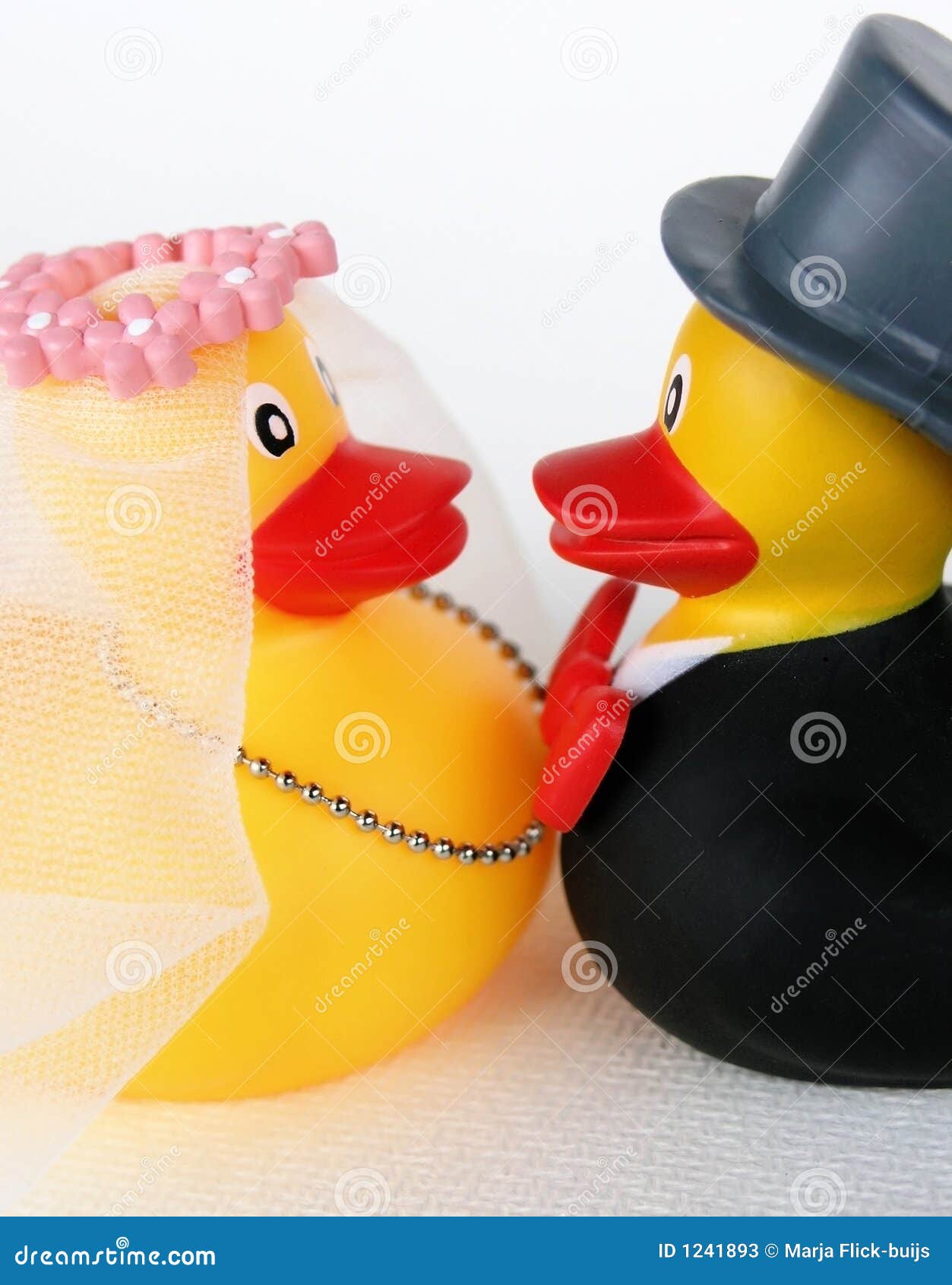 Wedding ducks 1 stock image. Image of ducks, wedding, official - 1241893