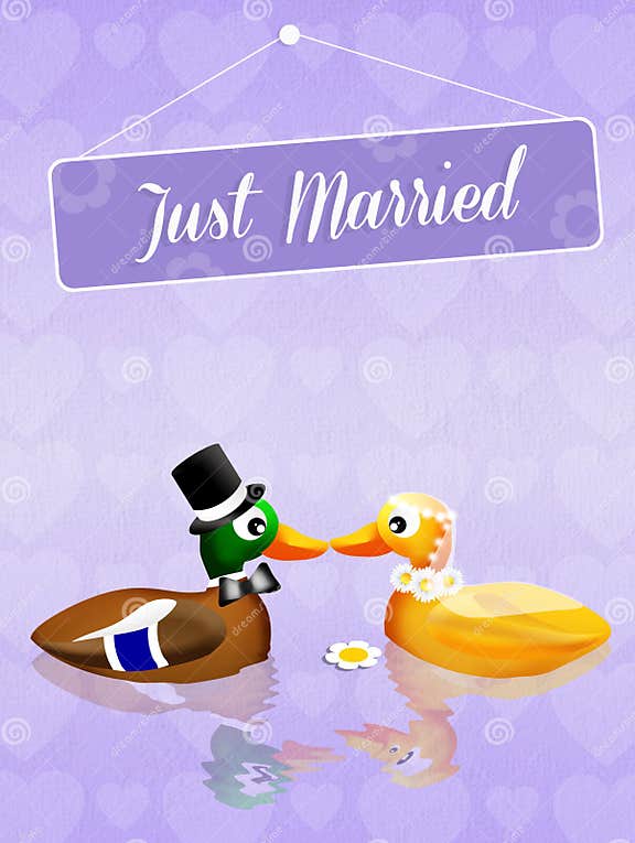 Wedding of ducks stock illustration. Illustration of engagement - 37212234
