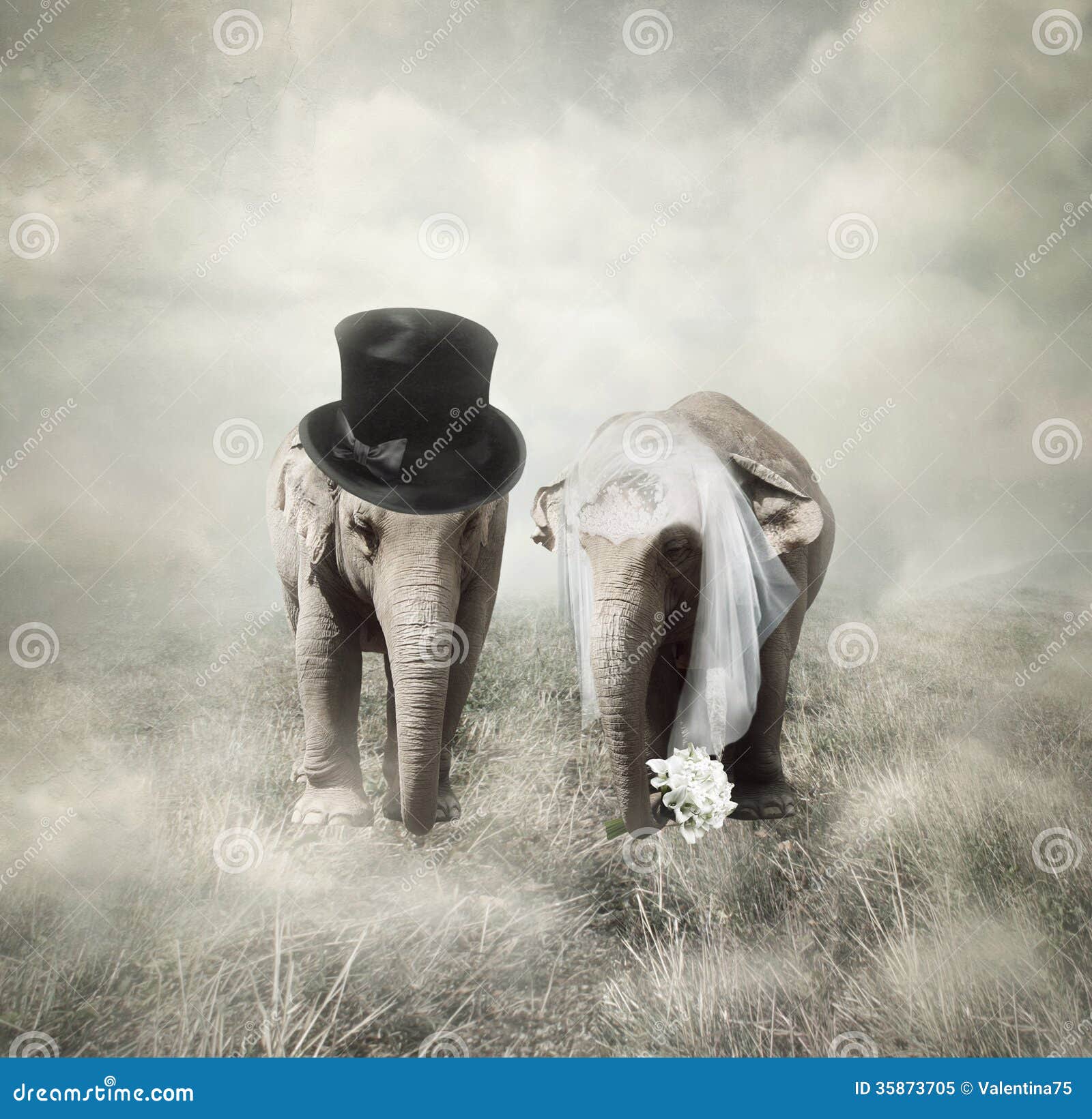 Wedding stock image. Image of elegant, marriage, collage - 35873705