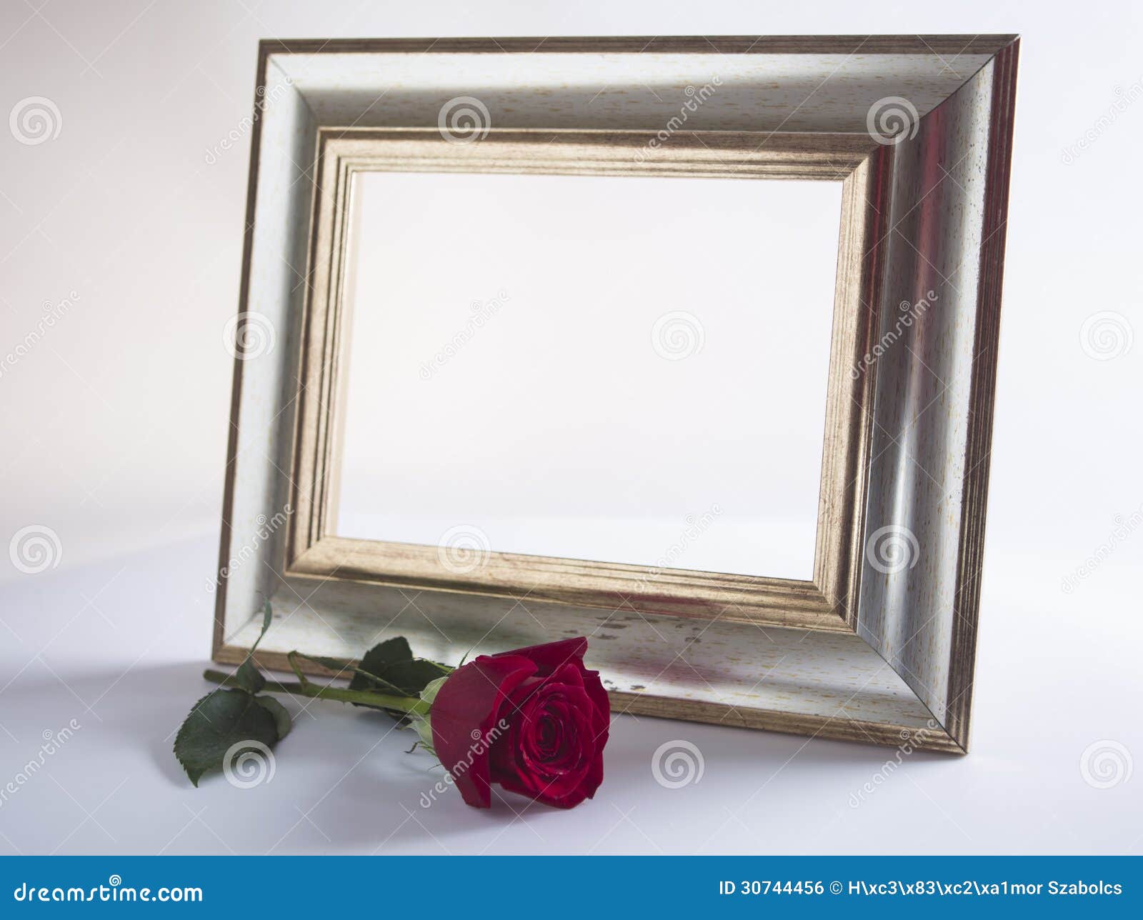 Wedding frame stock photo. Image of bride, groom, beautiful - 30744456