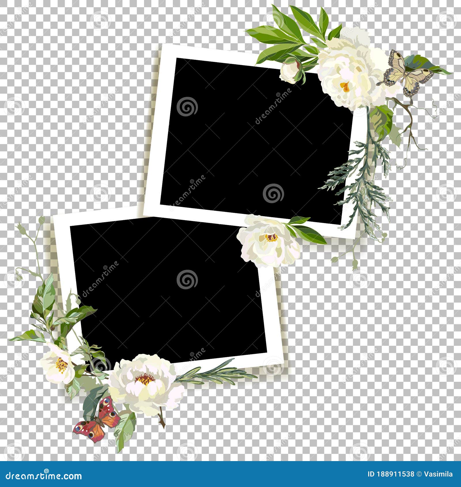 White peonies photo frame stock vector. Illustration of white - 188911538
