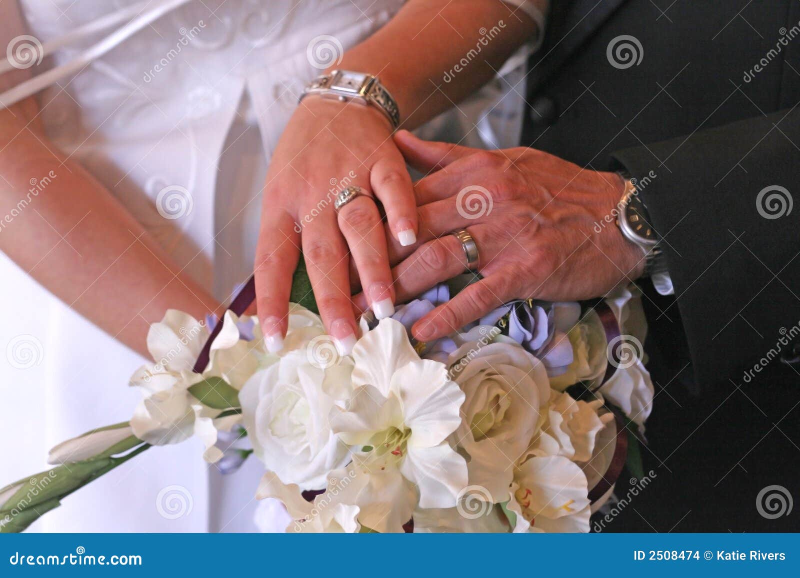 Wedding hands stock photo. Image of wedding, ring, rings - 2508474