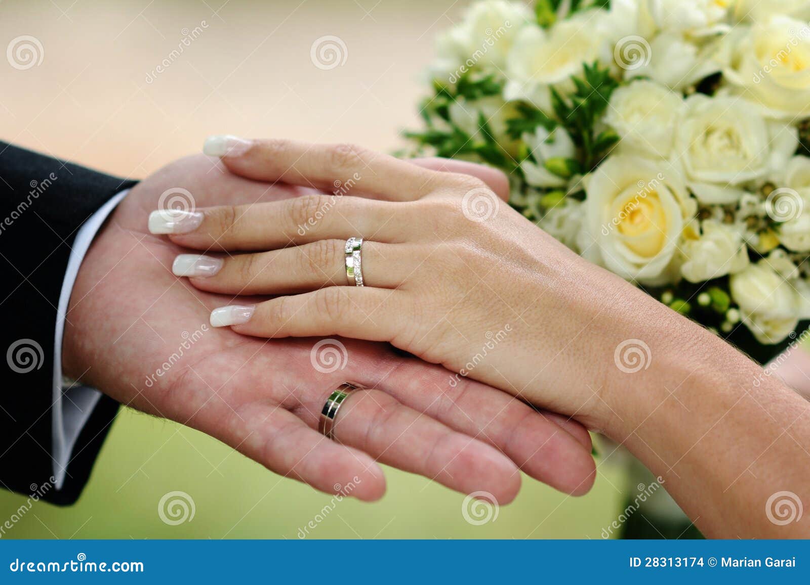 Wedding hands stock photo. Image of beauty, girl, love - 28313174