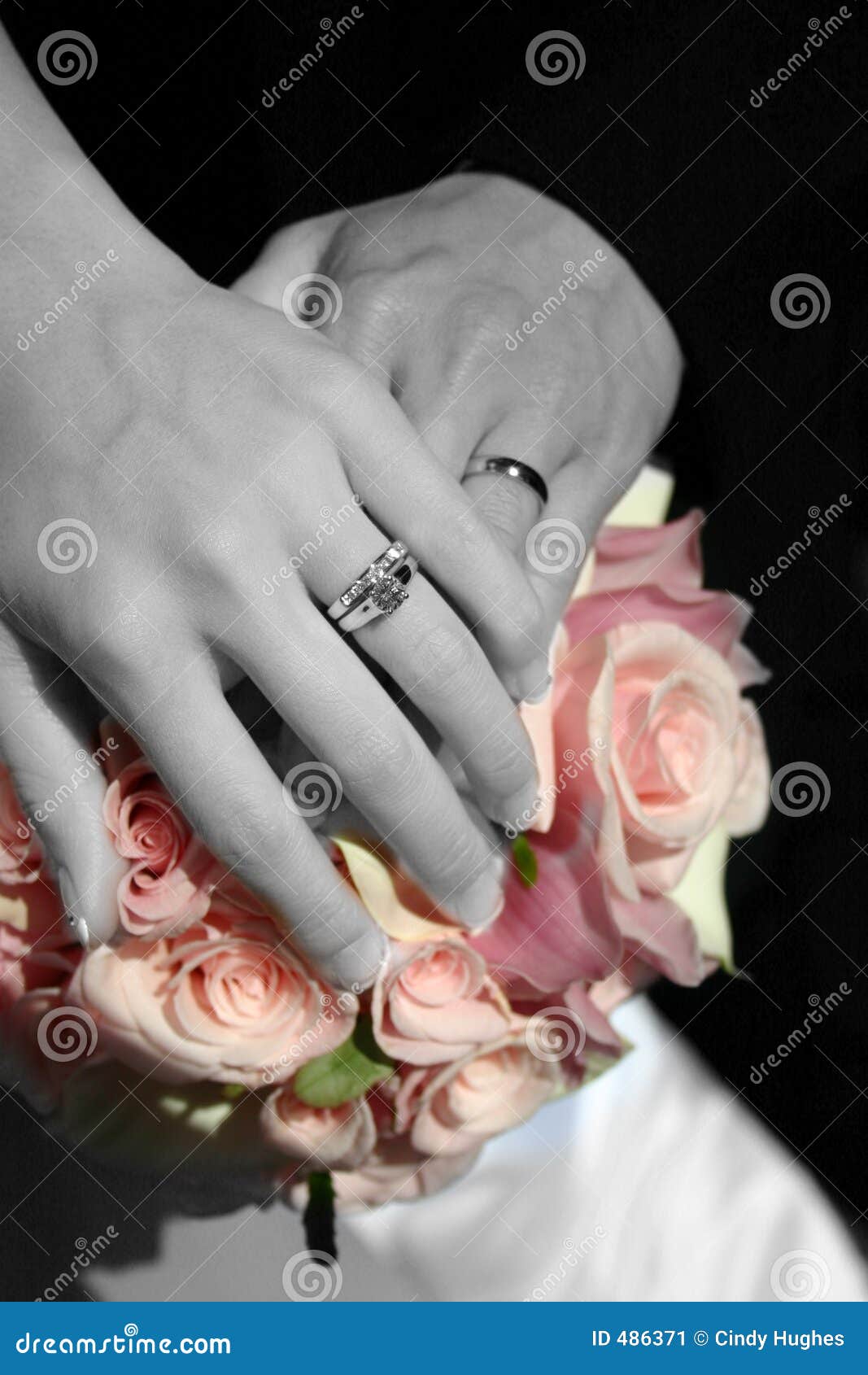 Wedding hands stock image. Image of flowers, bouquet, innocence - 486371