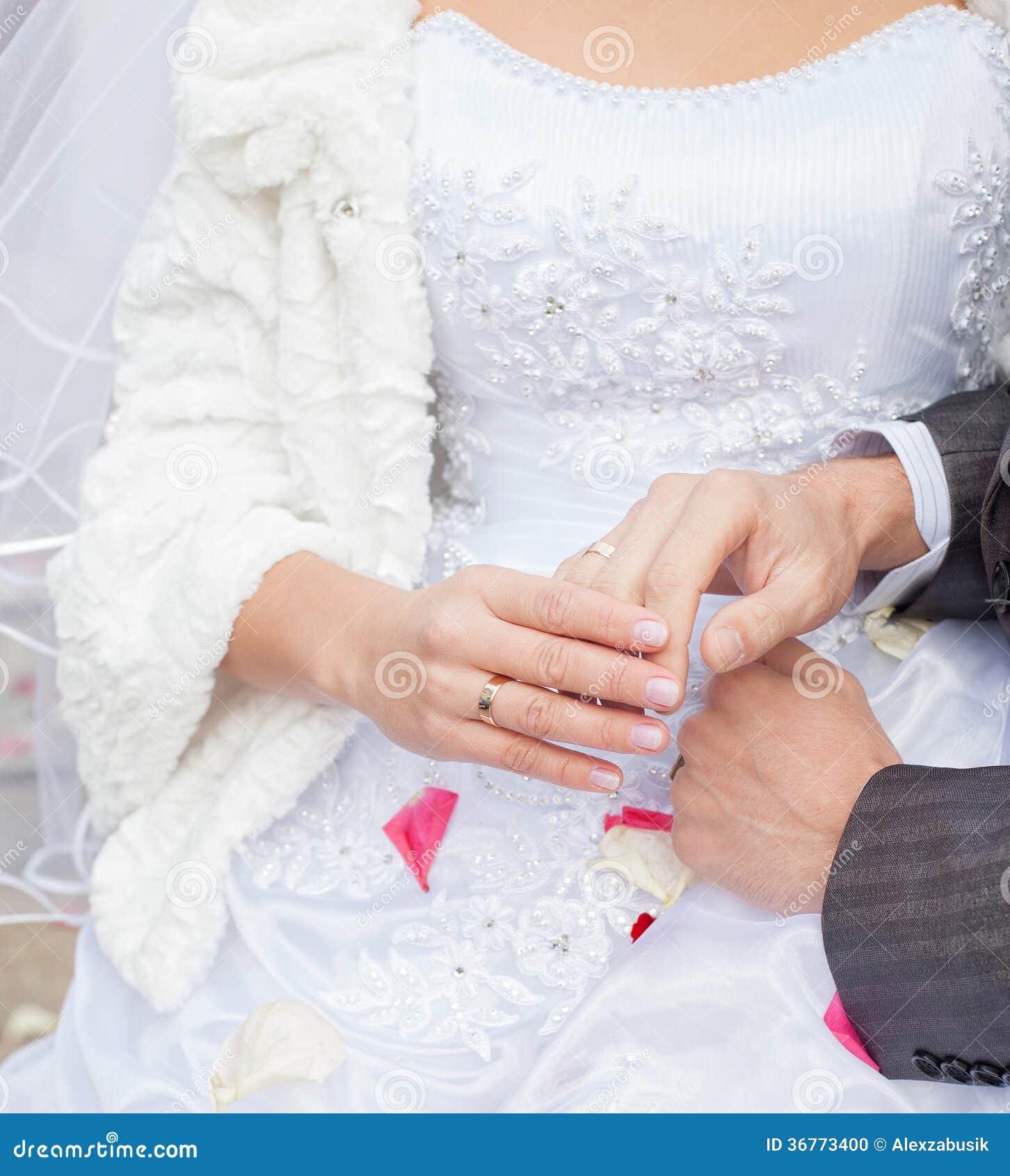 Wedding hands stock photo. Image of couple, newlywed - 36773400