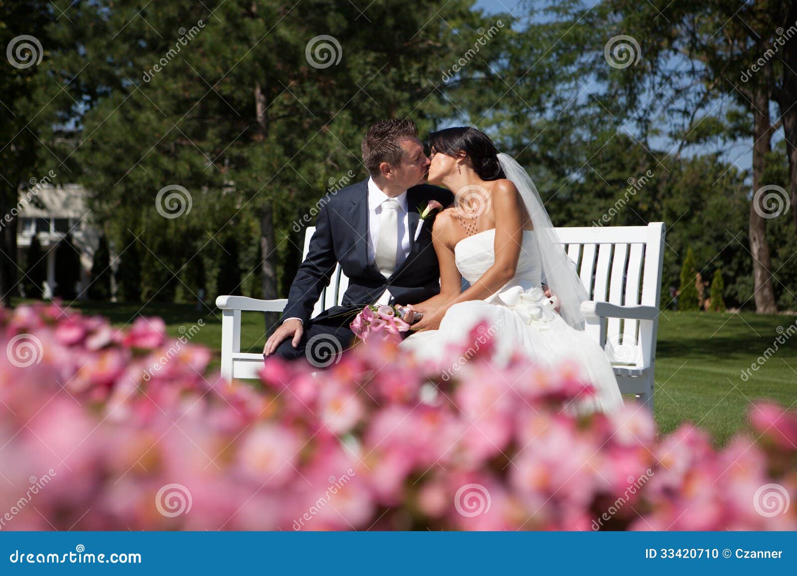 Wedding kiss stock photo. Image of beautiful, passion - 33420710