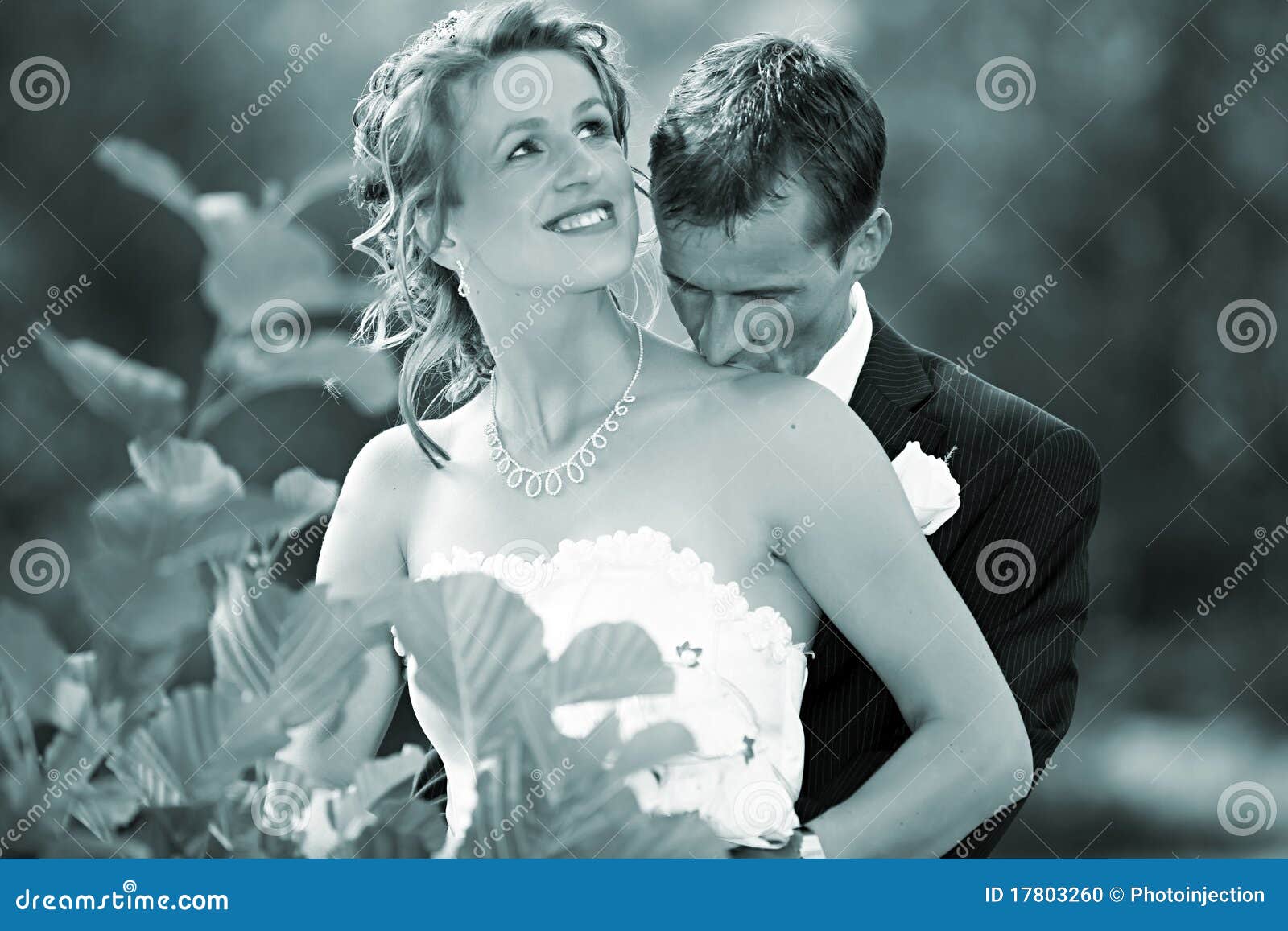 Wedding kiss on her neck stock photo. Image of fiance - 17803260