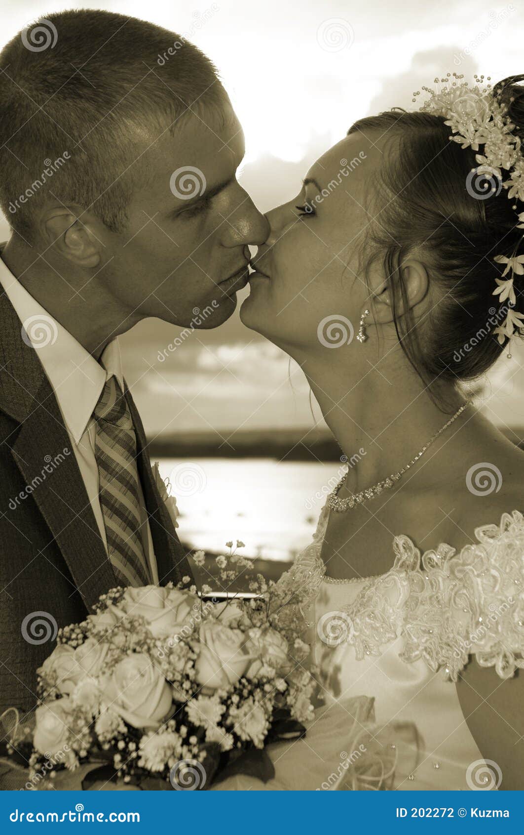 Wedding Kiss in Sepia Colorous Stock Photo - Image of sensual, kiss: 202272