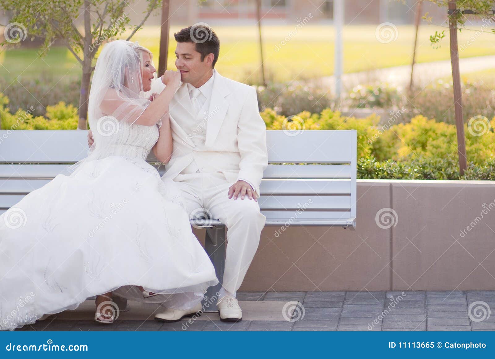 Wedding in park stock image. Image of ceremony, marriage - 11113665