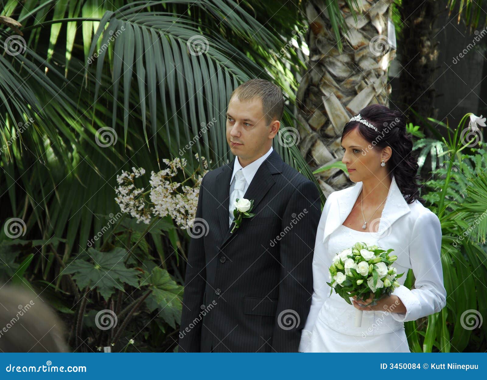 Wedding in park stock photo. Image of bouquet, bush, flower - 3450084