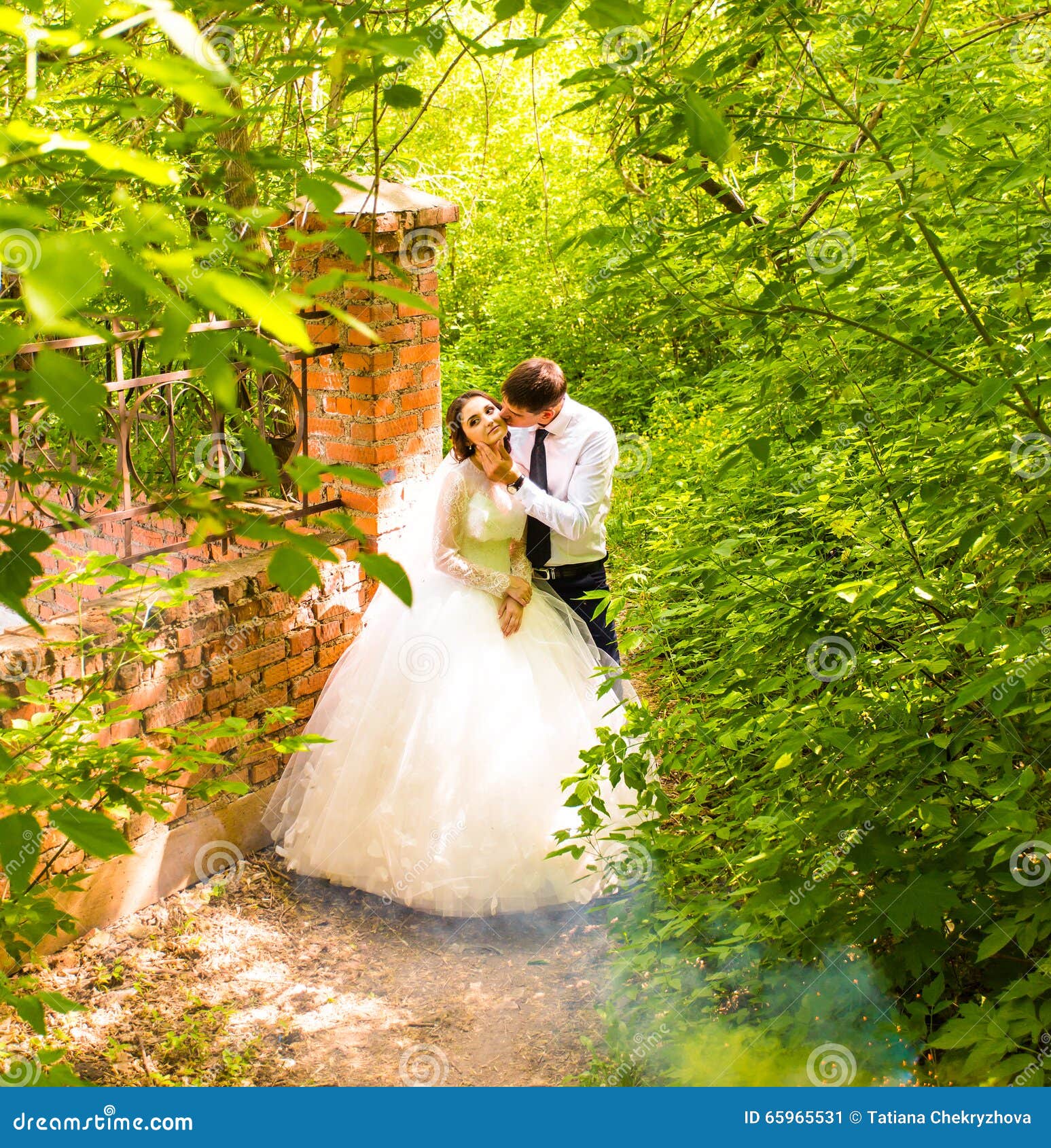 Wedding in the park. Fog stock image. Image of bride - 65965531