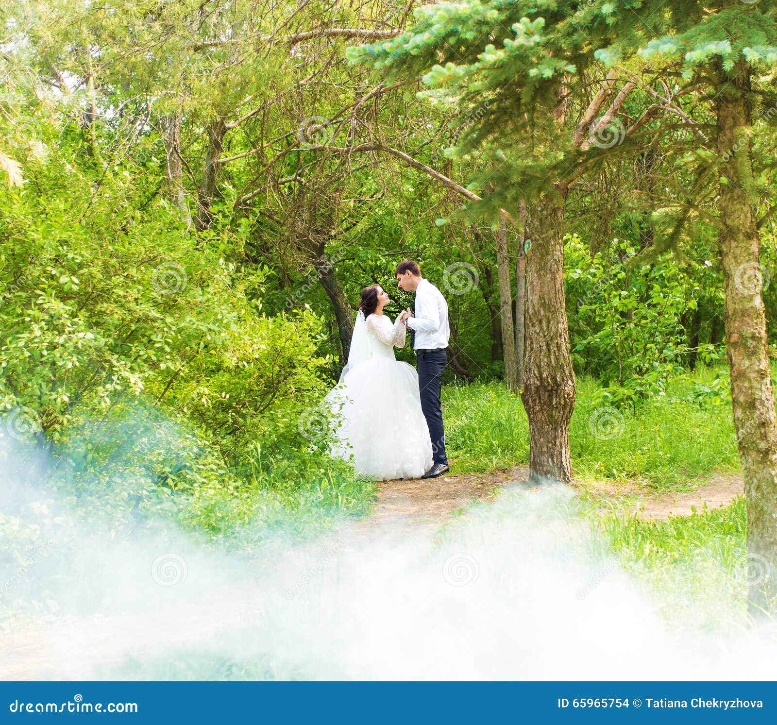 Wedding in the park. Fog stock photo. Image of kiss, green - 65965754