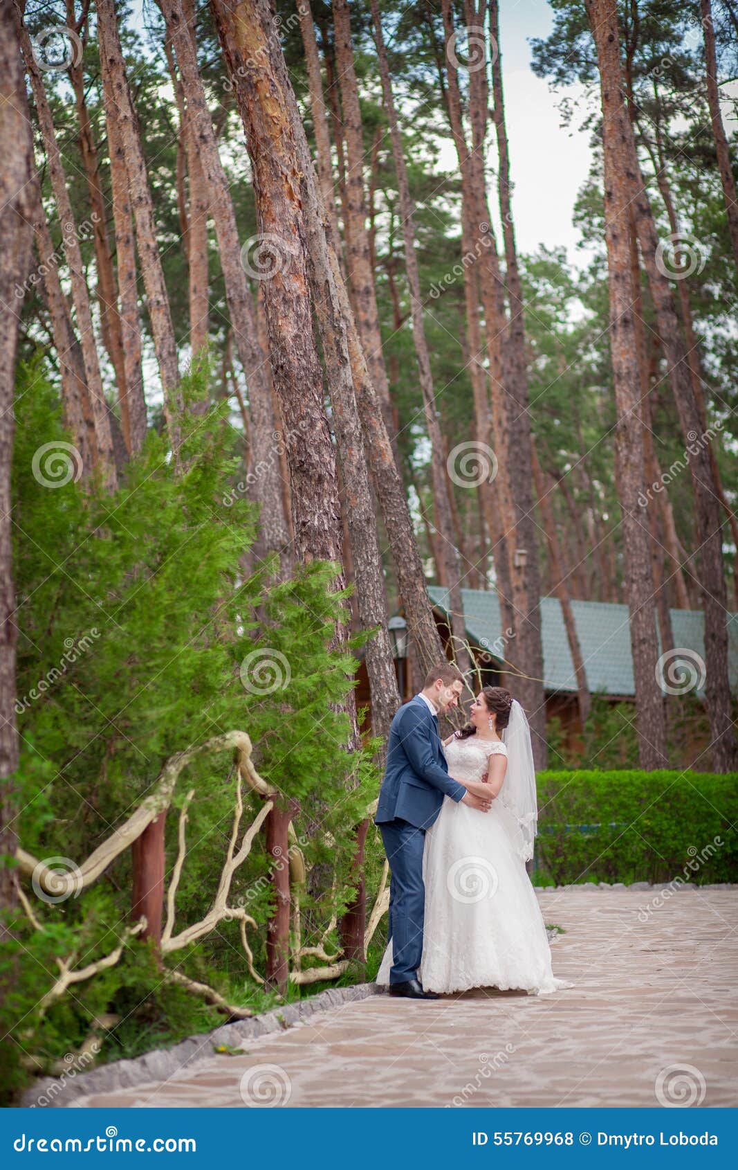 Wedding in park stock photo. Image of happy, female, fashion - 55769968