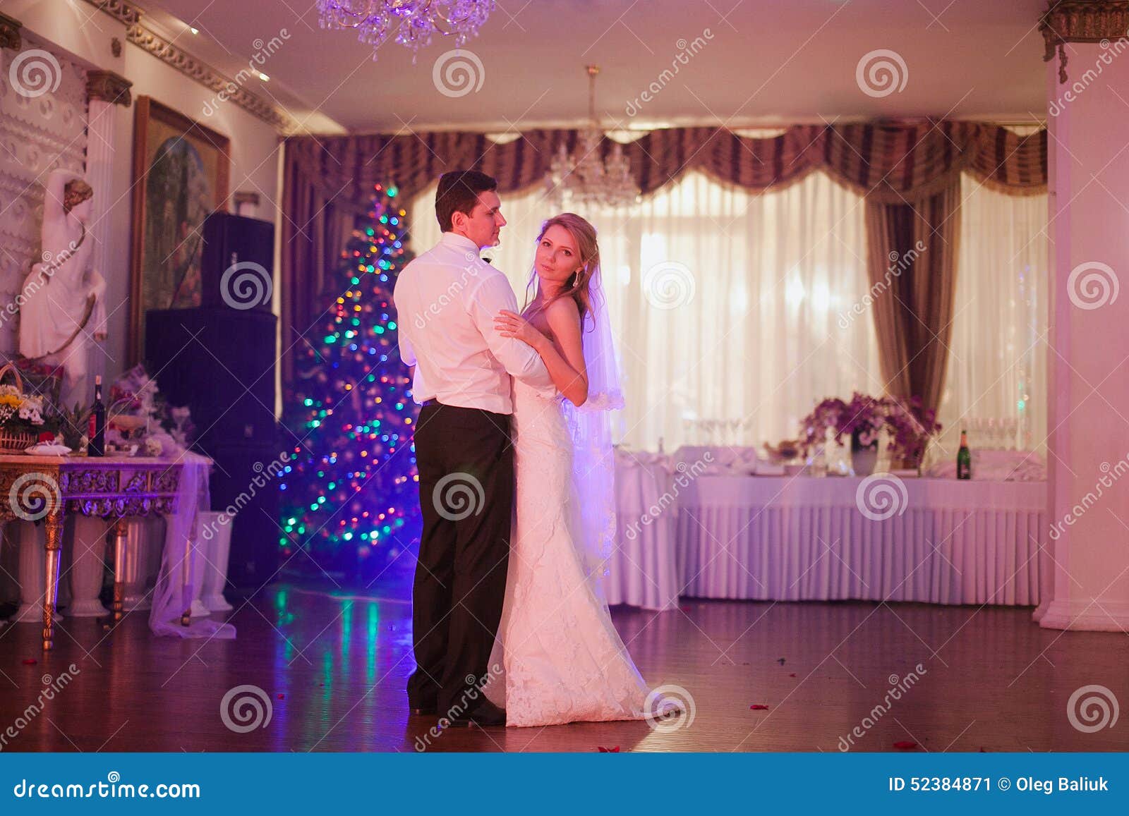 Wedding party stock image. Image of married, happy, happiness - 52384871