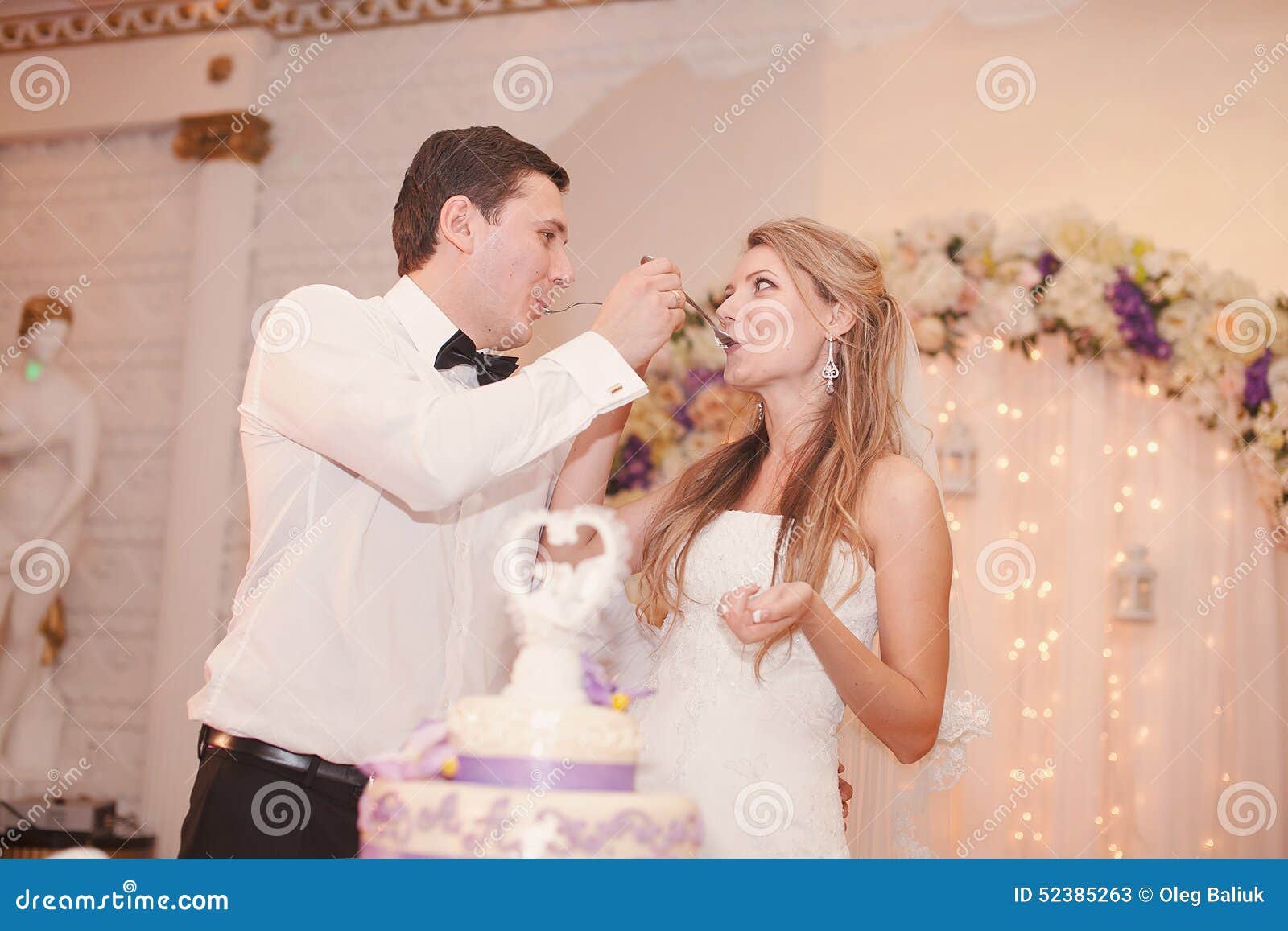 Wedding party stock image. Image of beautiful, happy - 52385263