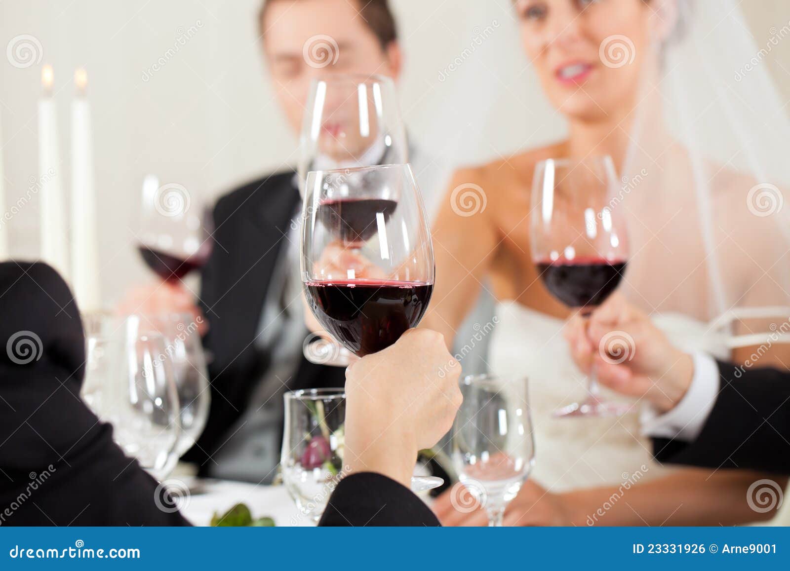 Wedding party at dinner stock photo. Image of dinner - 23331926