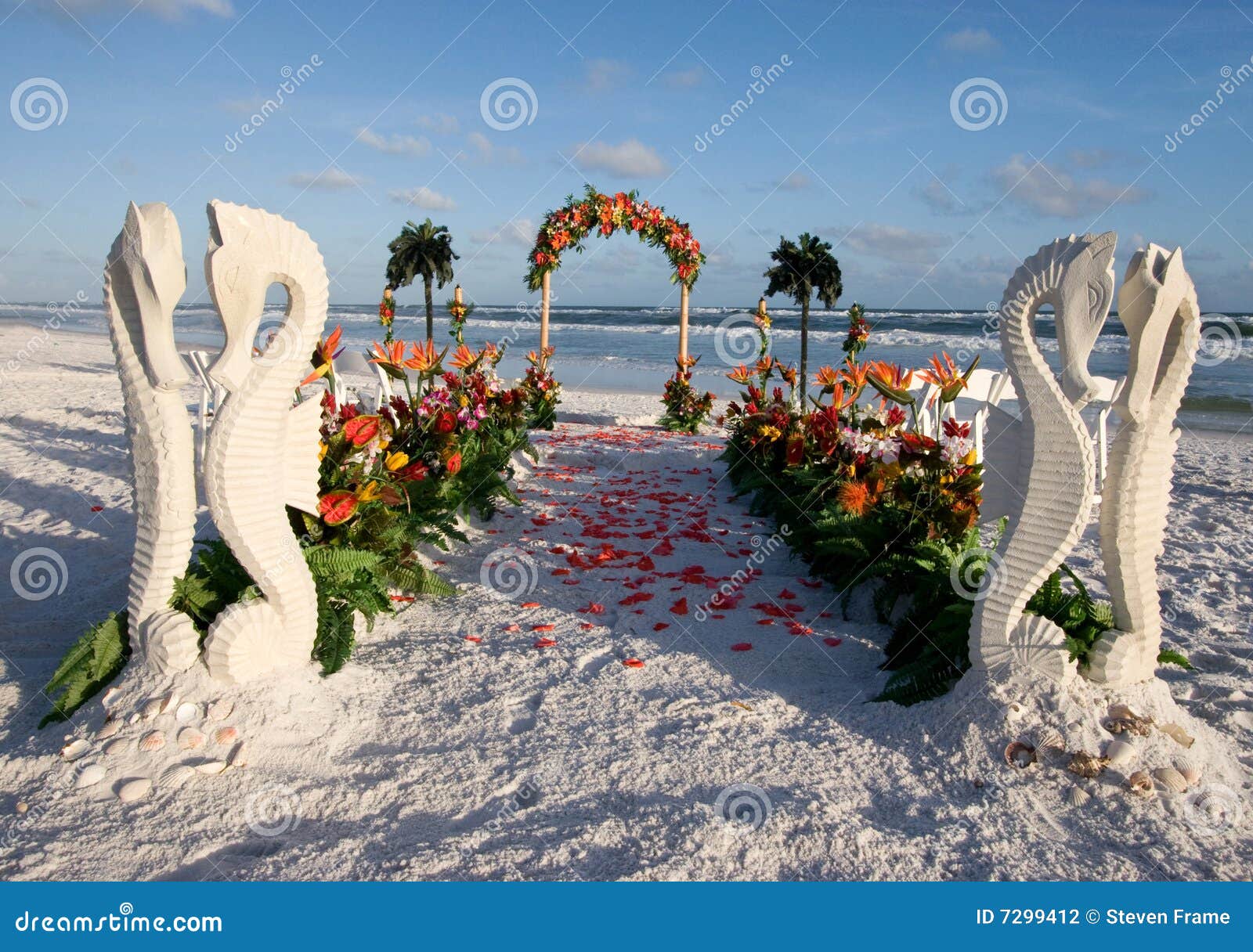 Wedding Path & Archway stock photo. Image of wedding, archway - 7299412