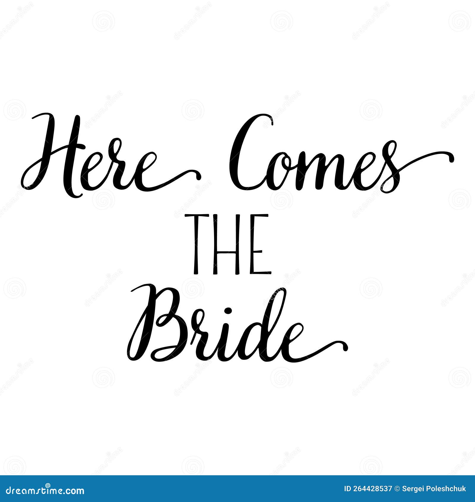 Here comes the bride. stock vector. Illustration of party - 264428537