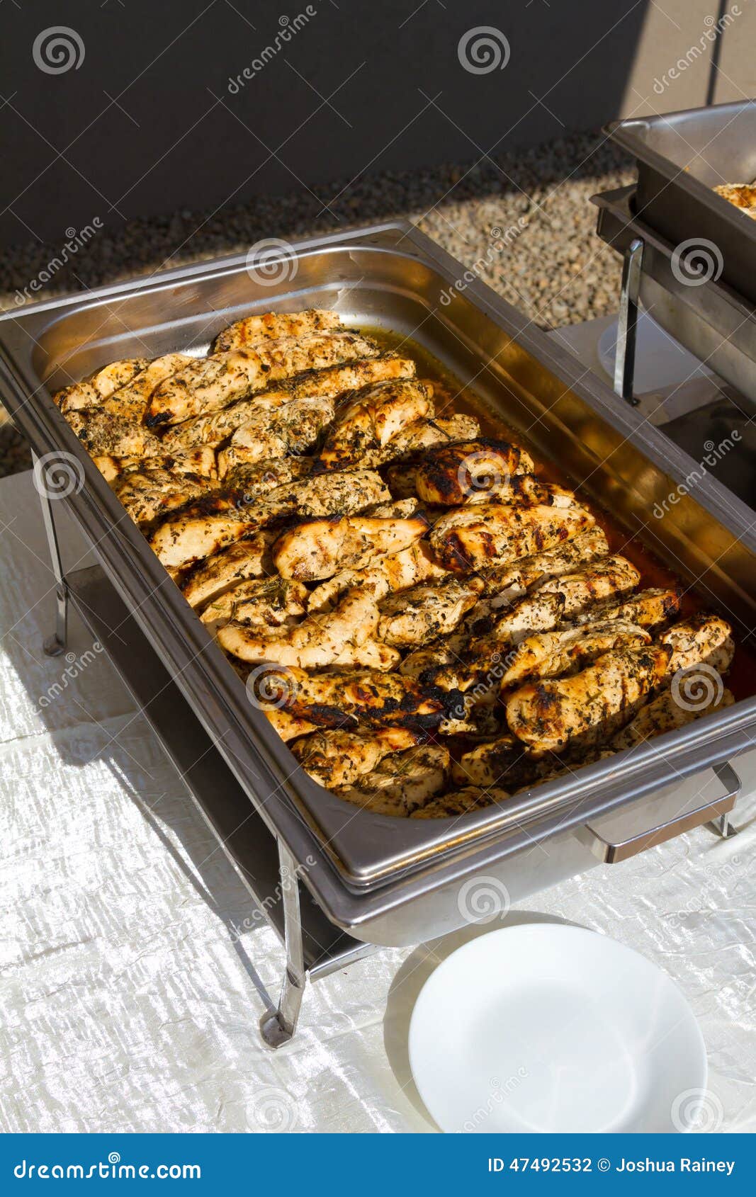 Wedding Reception Chicken stock photo. Image of meal - 47492532