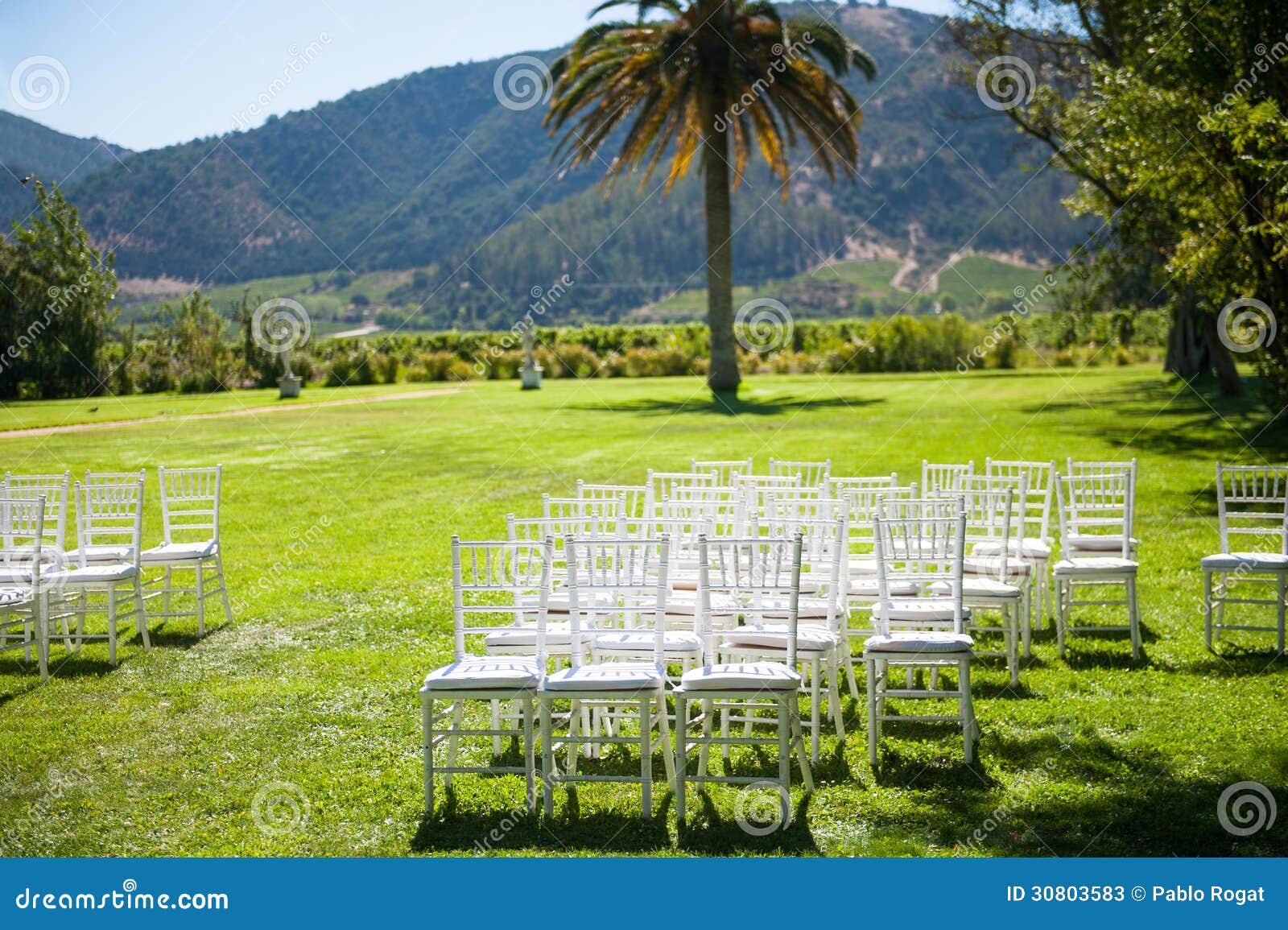 Wedding Reception in Nature Stock Image - Image of green, luxury: 30803583