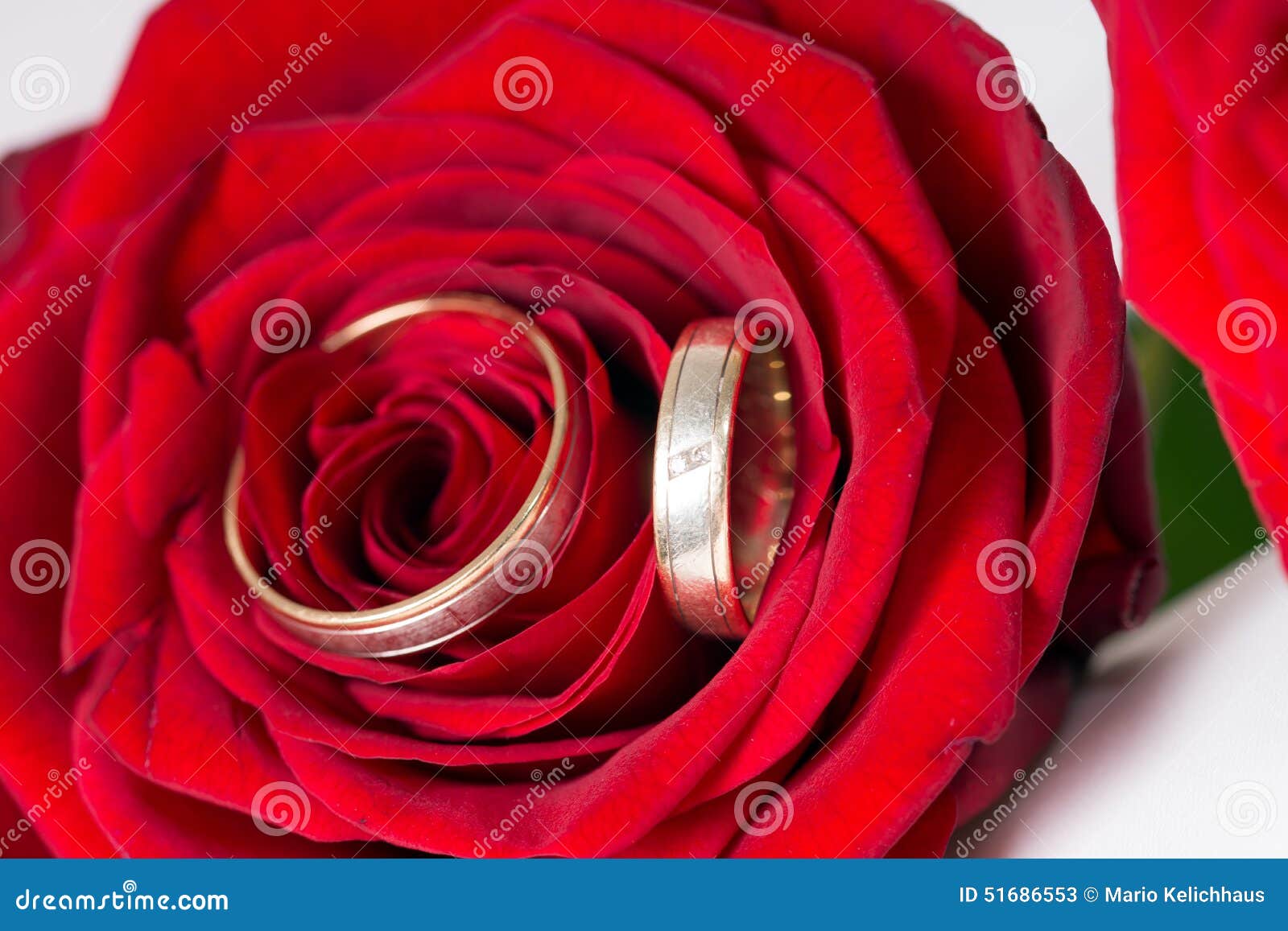 Wedding stock image. Image of happiness, relationship - 51686553