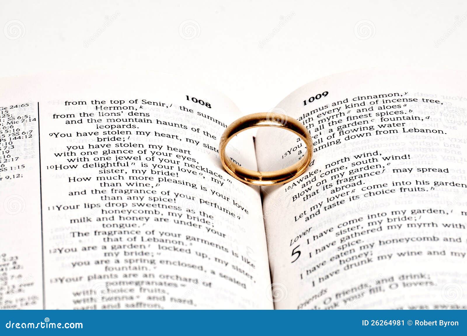 Wedding Ring on a Bible stock image. Image of religious - 26264981