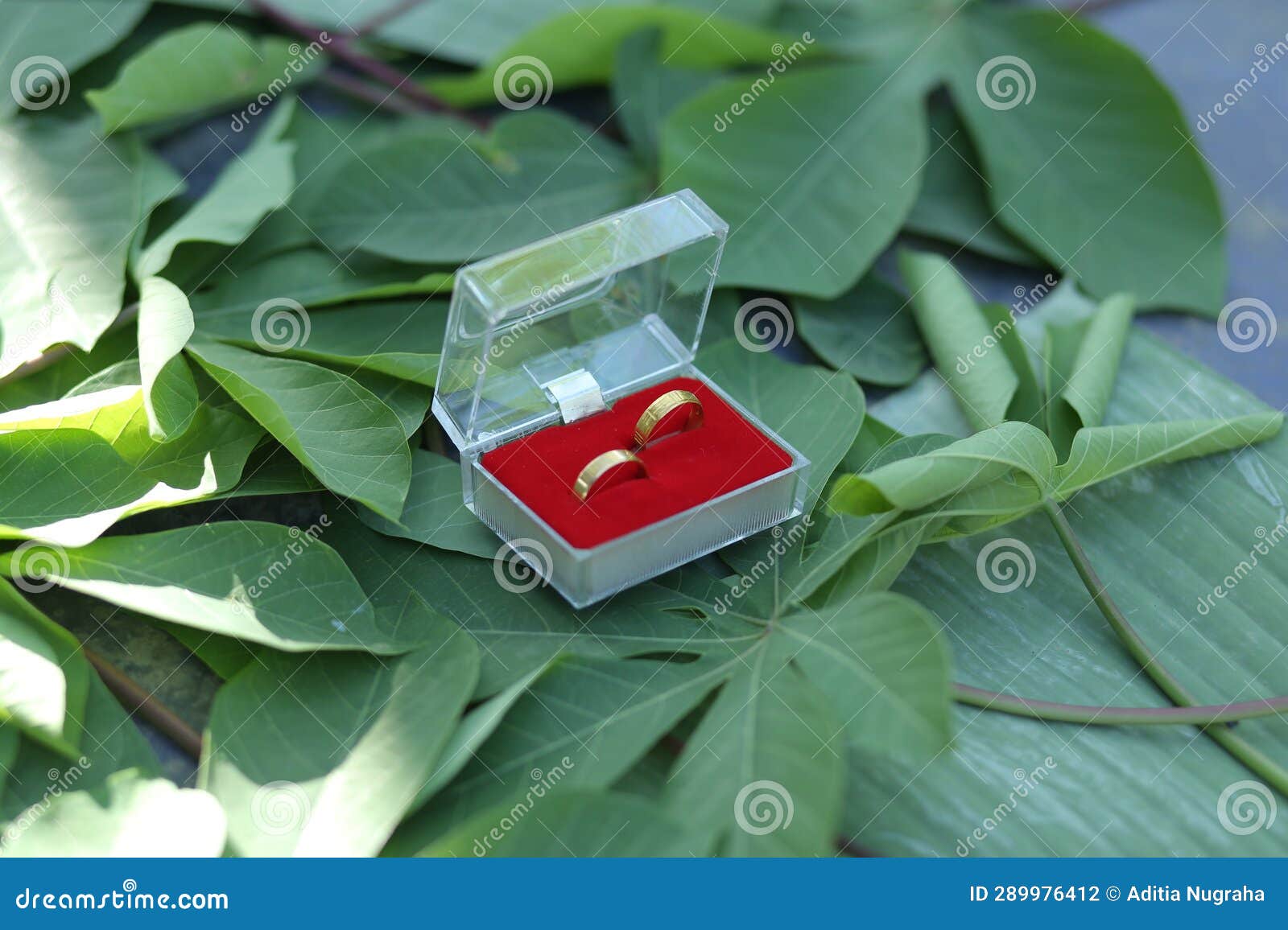 Wedding Ring Couple Simple Elegant Stock Photo - Image of simple, wedi ...